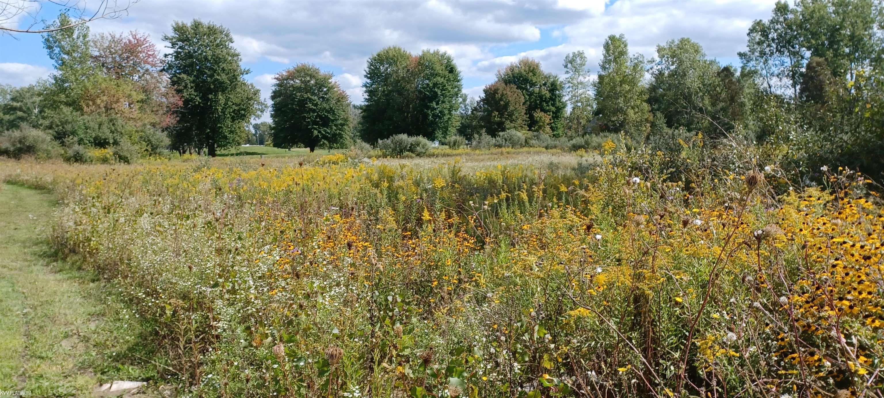 554 Palms Rd, Goodells, MI 48027