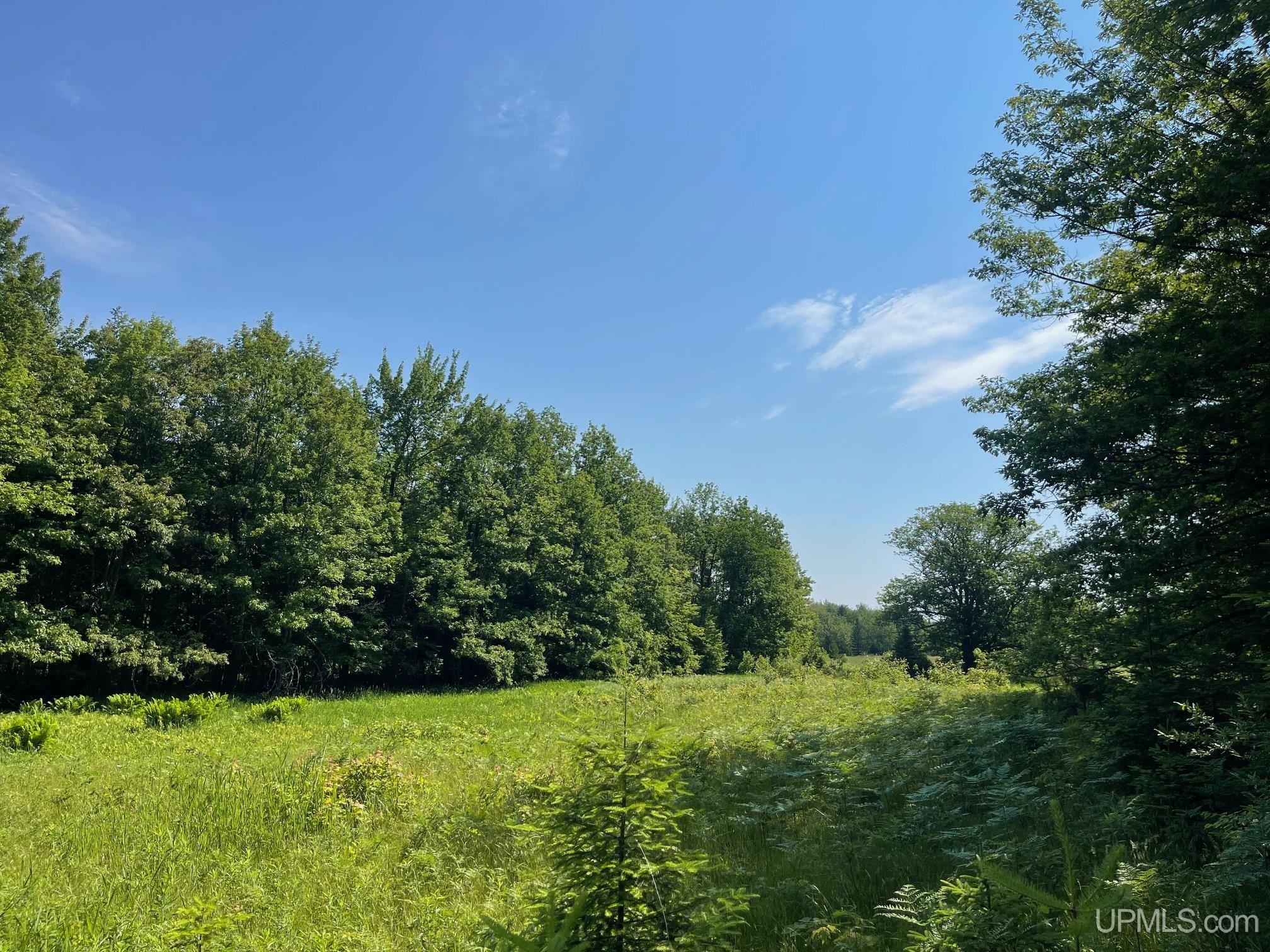 Northern Michigan Land Brokers – Marquette & Houghton