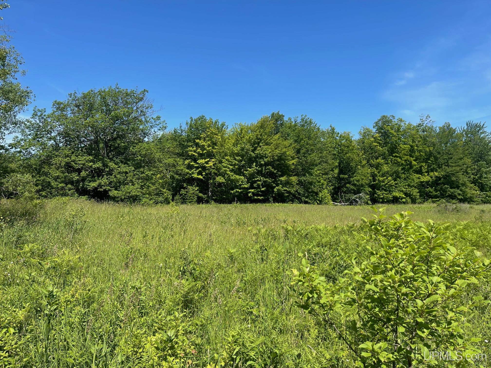 Northern Michigan Land Brokers – Marquette & Houghton