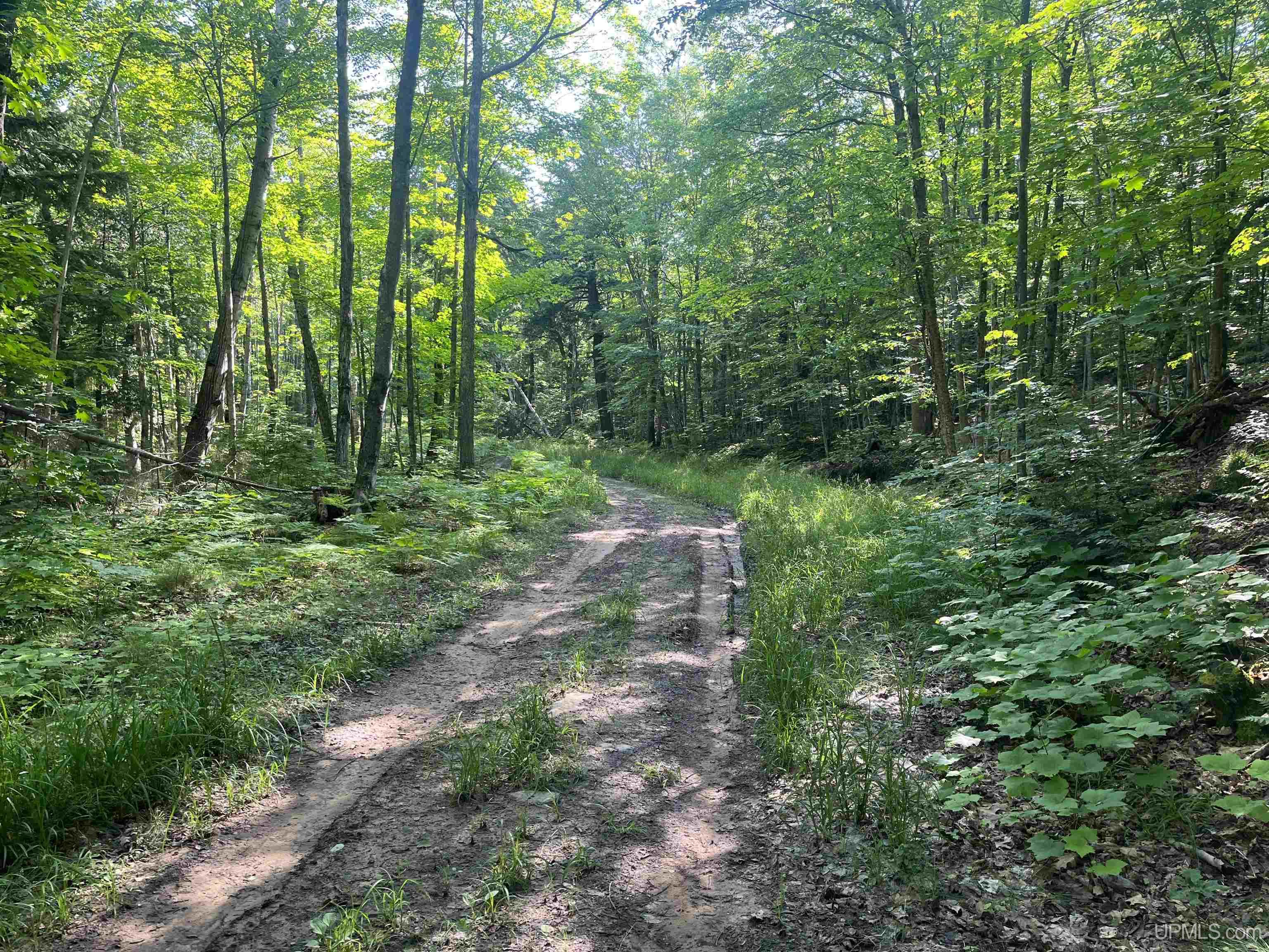 Northern Michigan Land Brokers – Marquette & Houghton