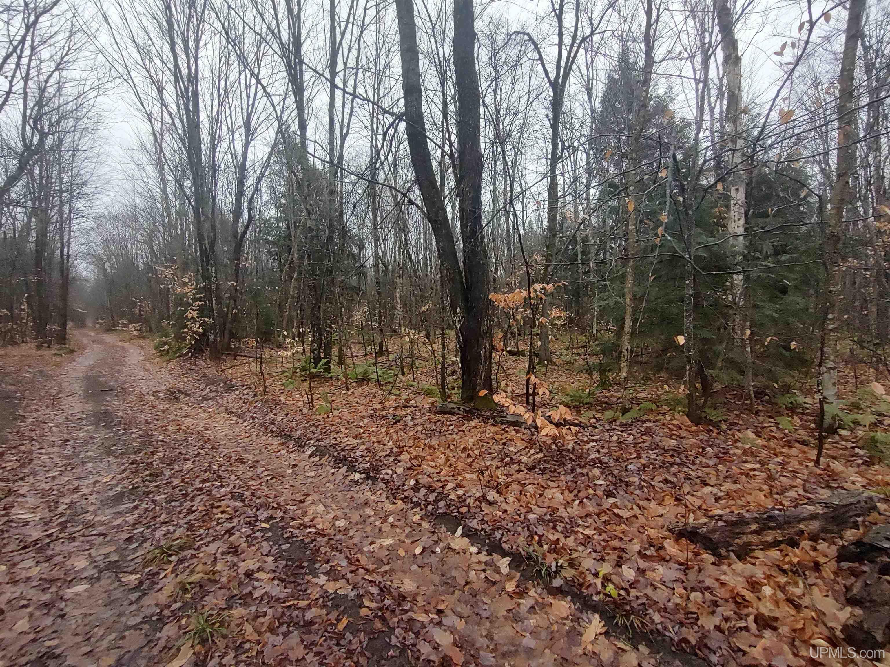 Northern Michigan Land Brokers - Land & Home Sales