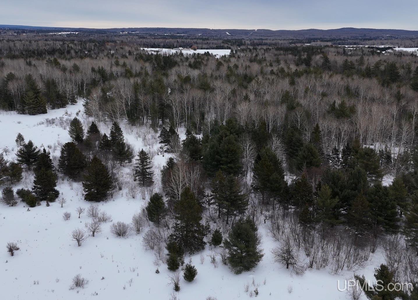 Northern Michigan Land Brokers - Land & Home Sales