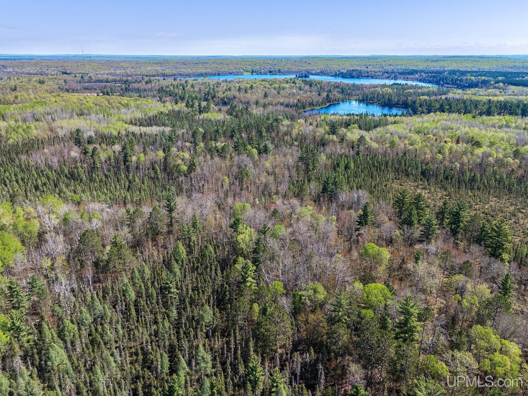 Off Rifle Range Watersmeet, MI 49969 MLS# 50166788 - UPMLS.com