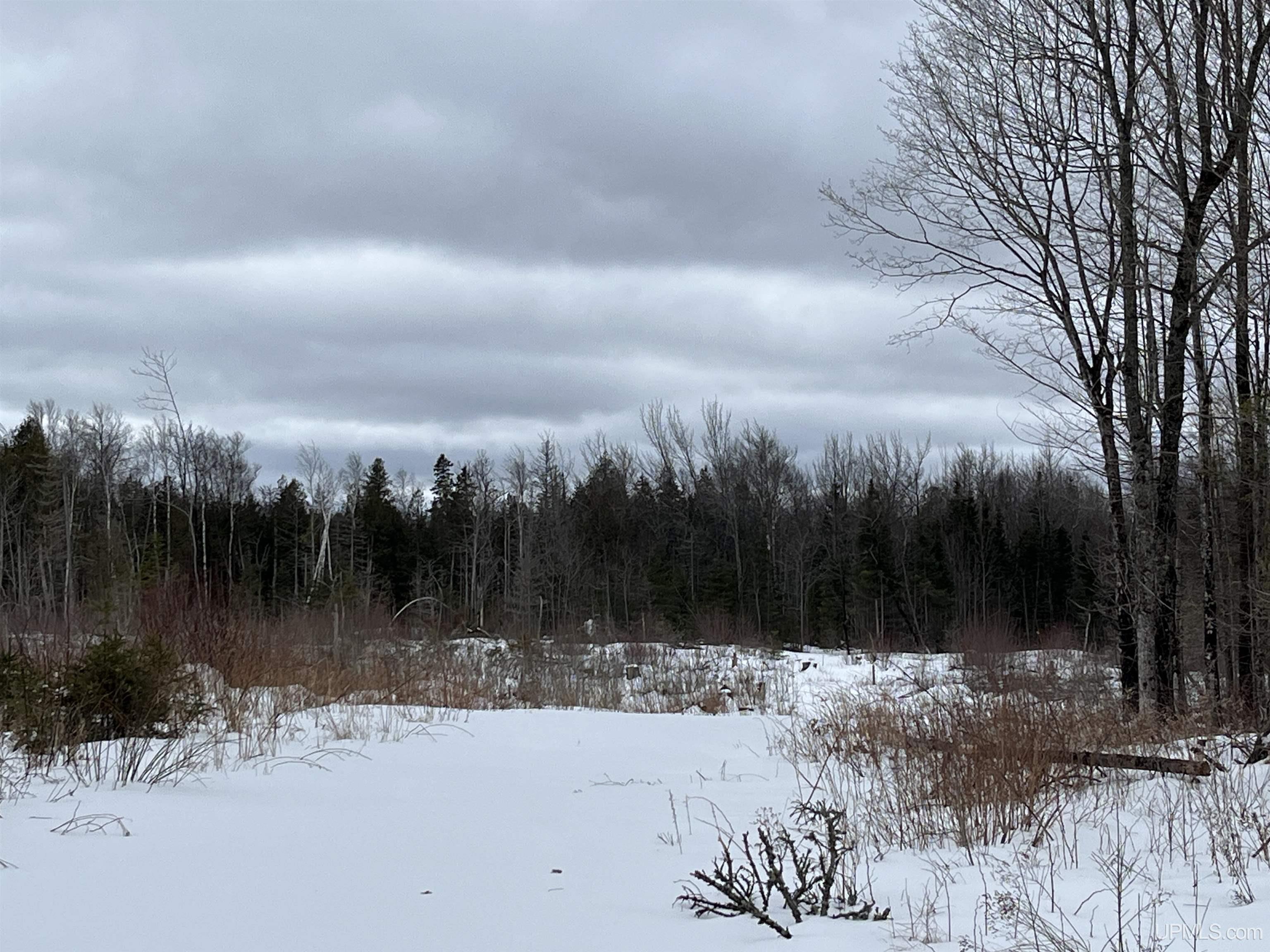 Northern Michigan Land Brokers - Land & Home Sales