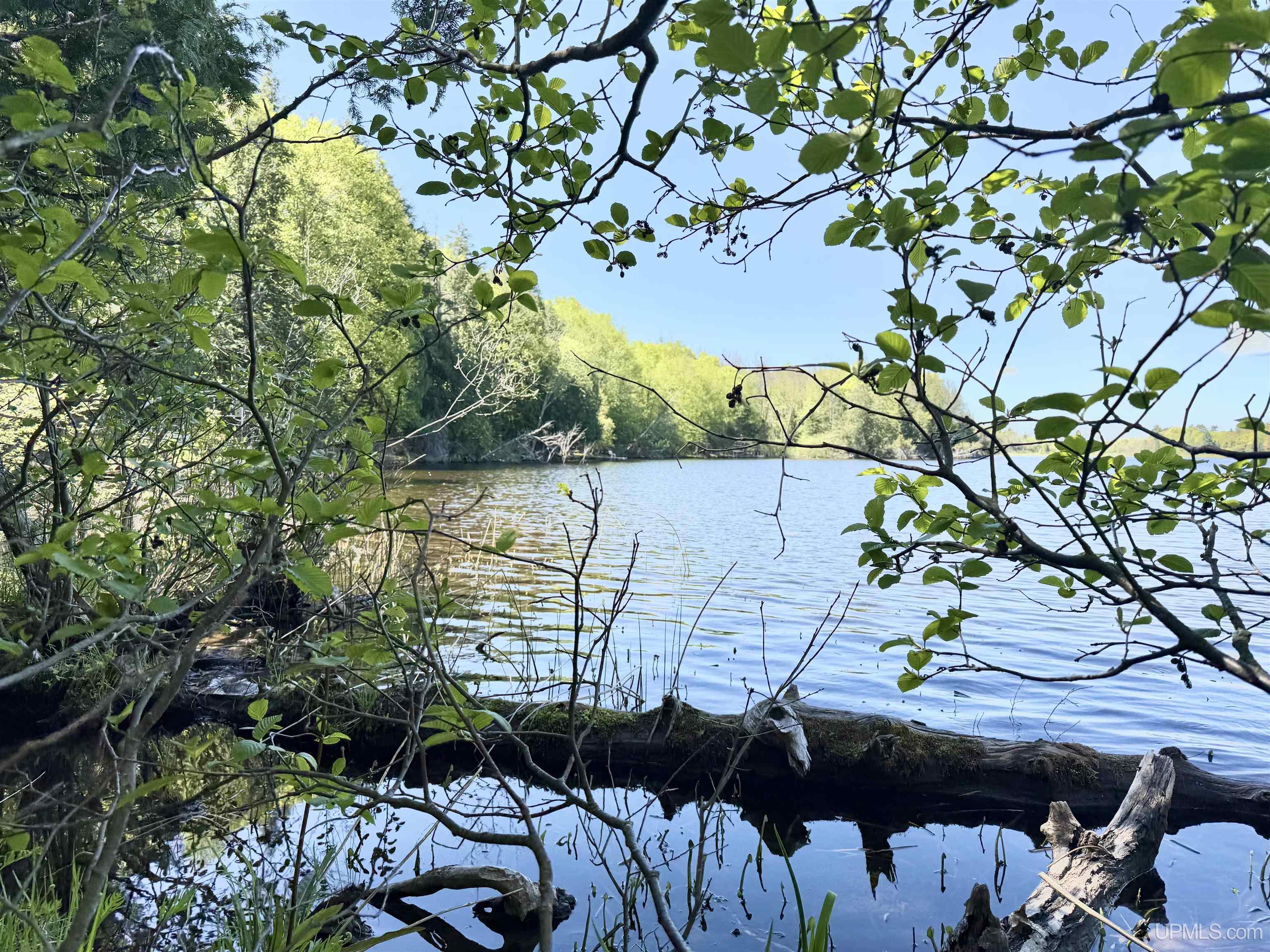 Lot 8 Near Pomeroy Lake Marenisco, MI MLS#50176155 Great Lakes and Land