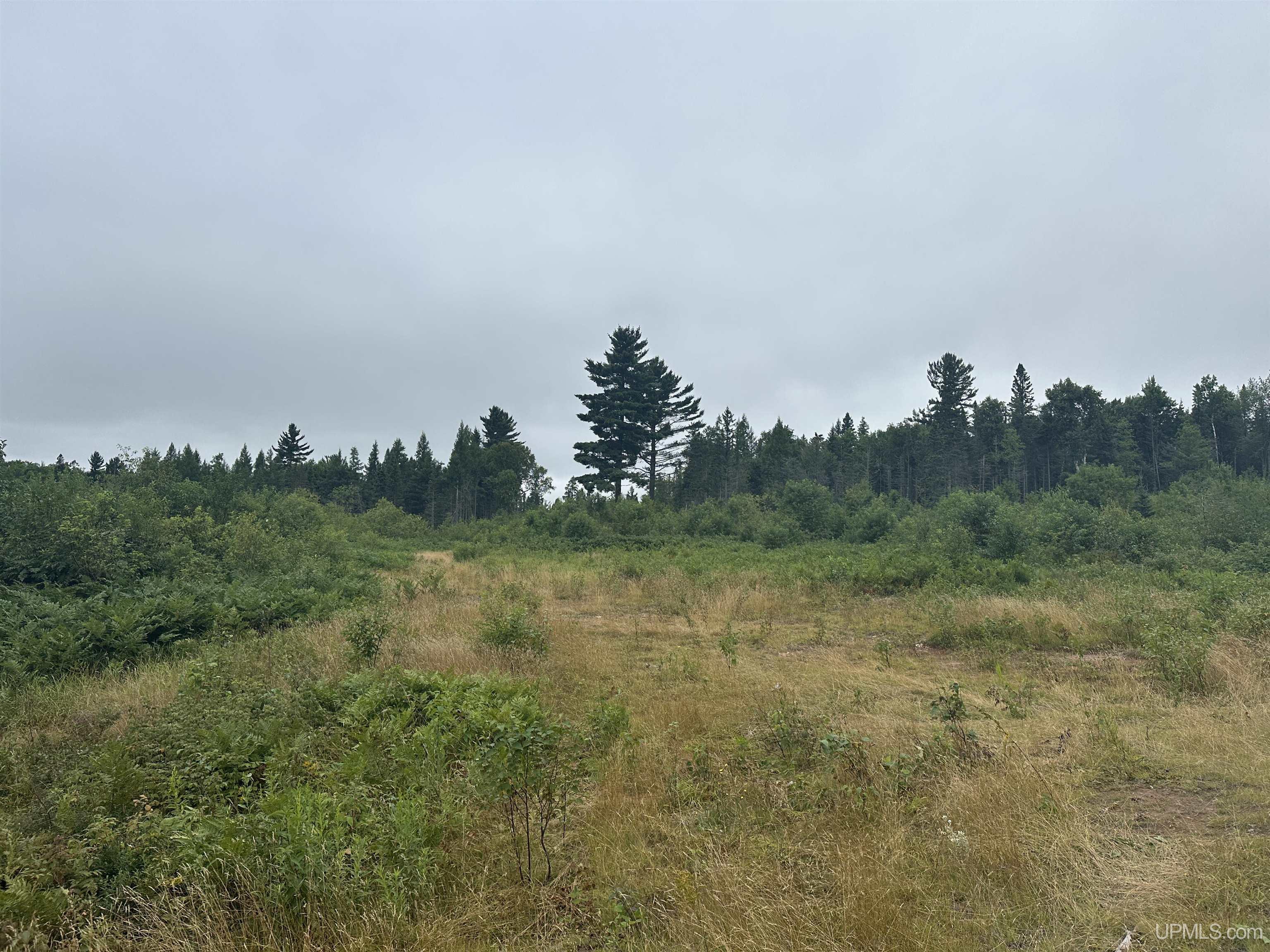 Off S Arfelin Lake Michigamme, MI 49861 MLS# 50185989 - UPMLS.com