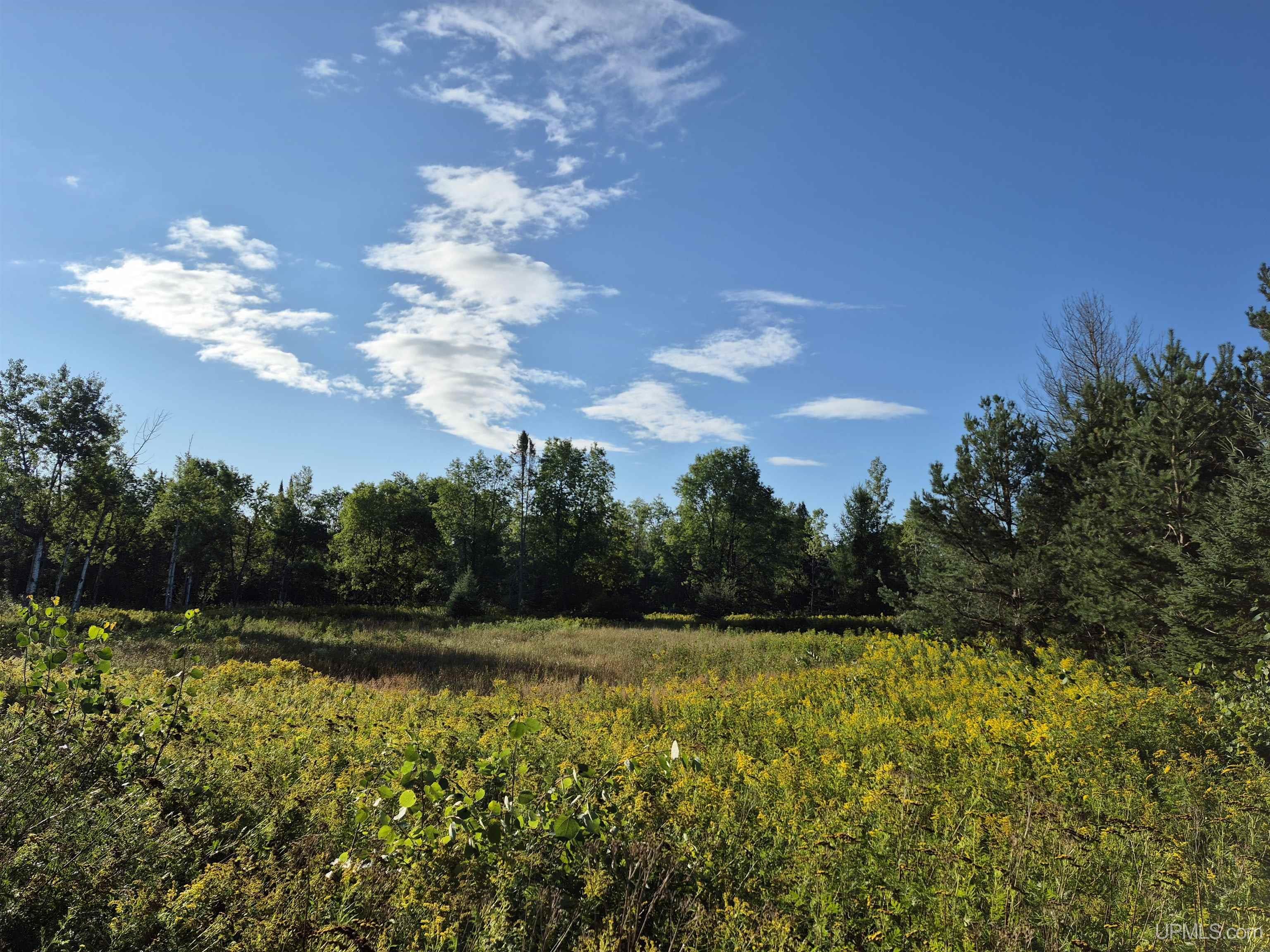 Land for sale in Trenary, Michigan, 50186861