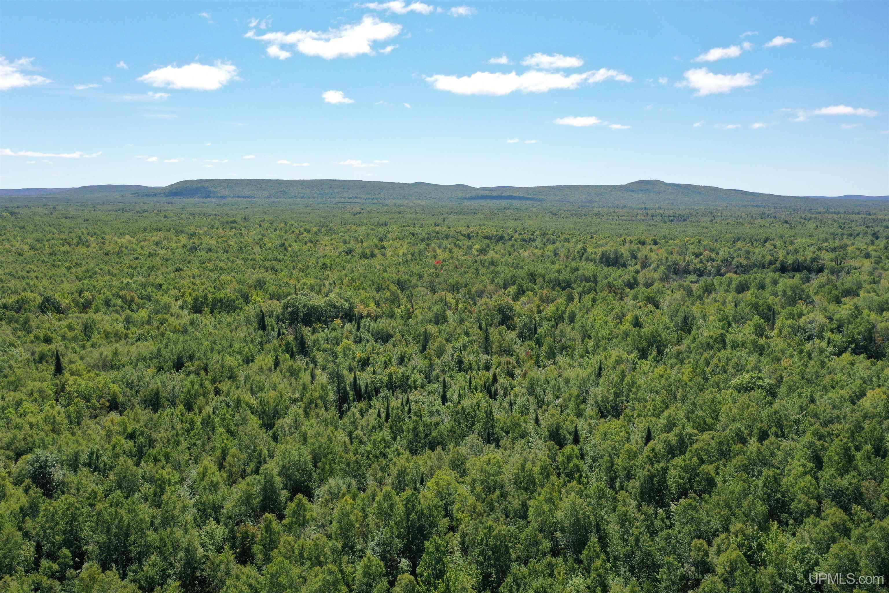 TBD LP WALSH White Pine, MI MLS#50187023 Great Lakes and Land