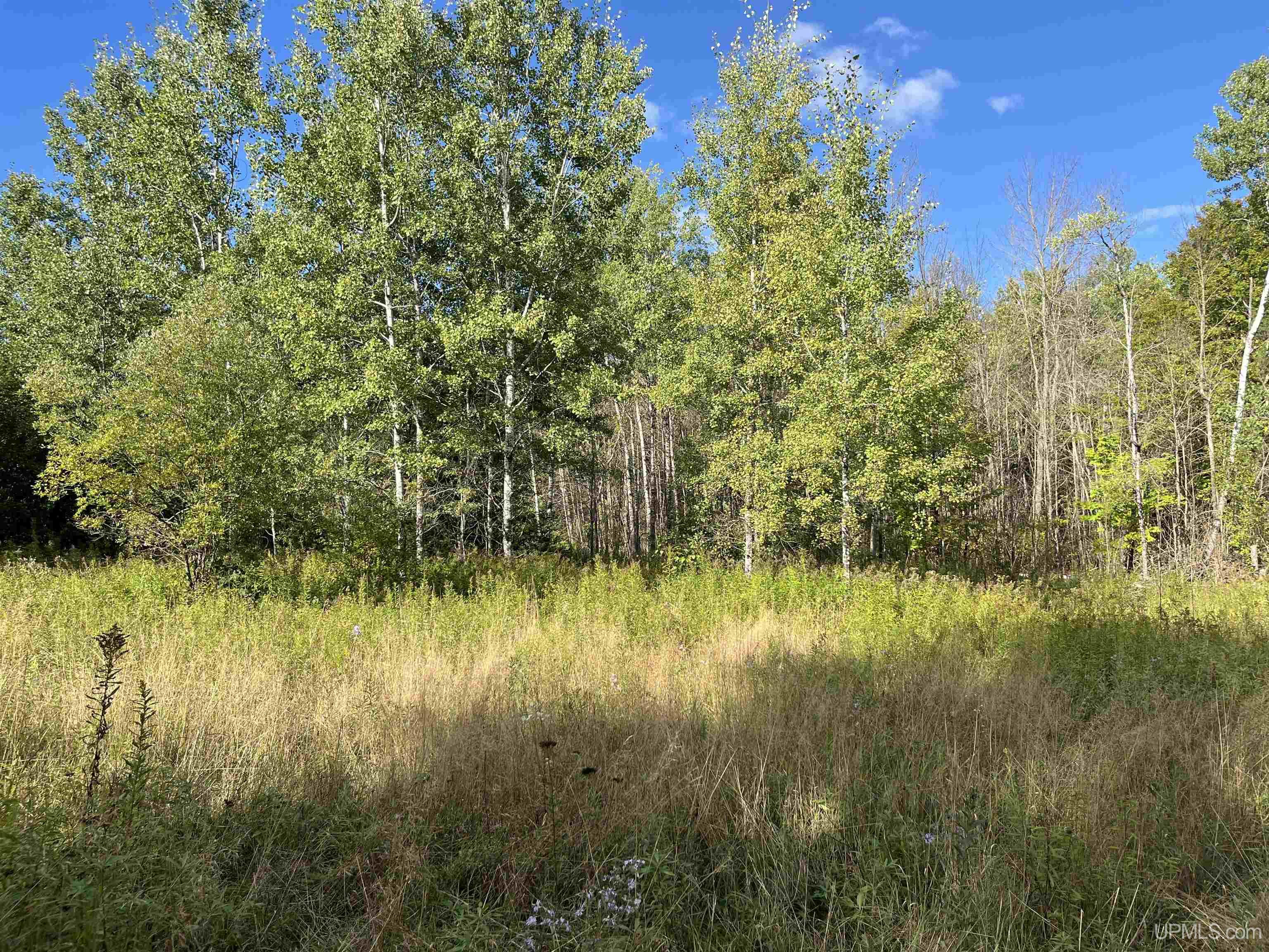 TBD Settlement Long Lake, WI MLS#50192514 Great Lakes and Land