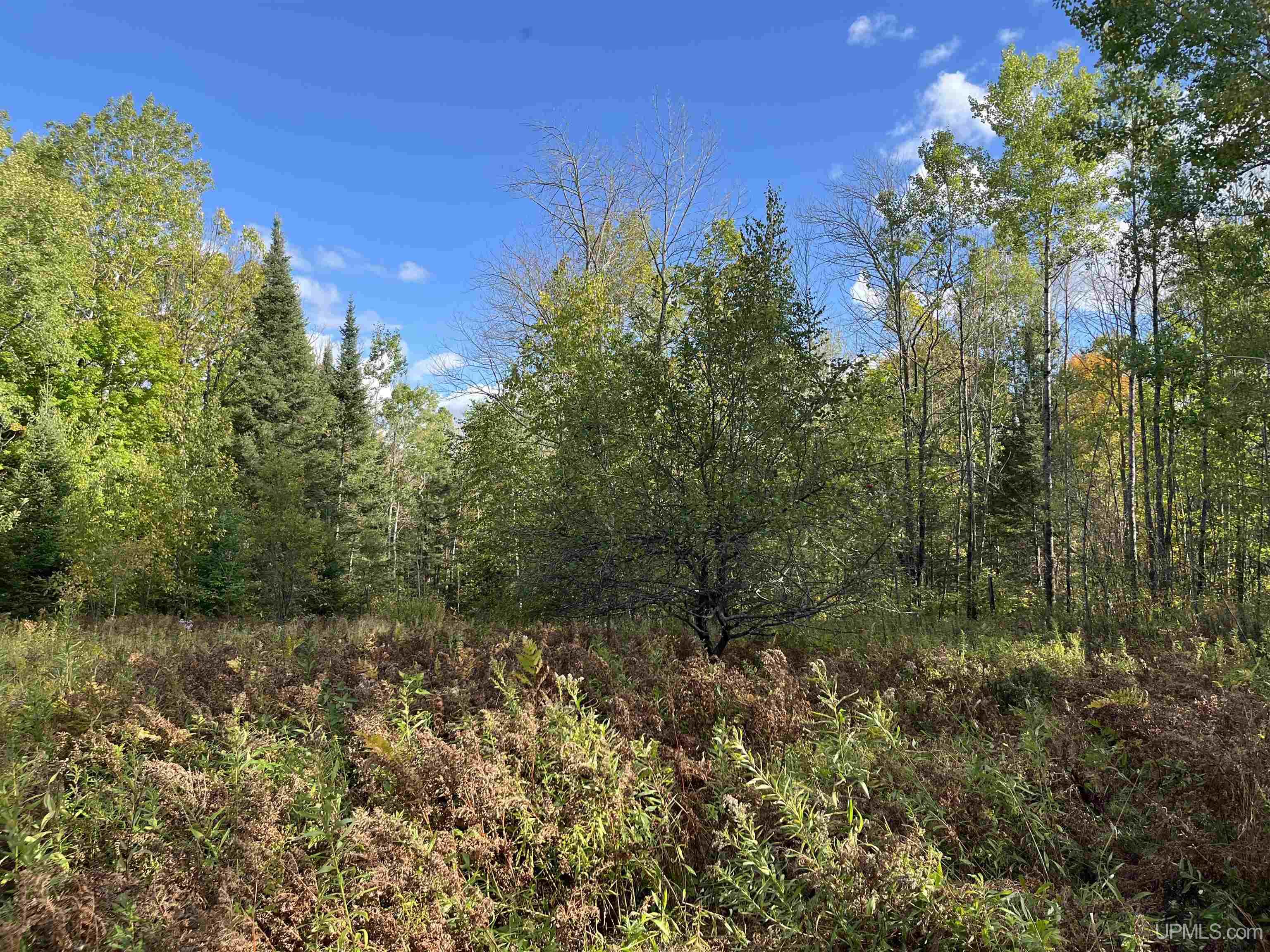 TBD Settlement Long Lake, WI MLS#50192514 Great Lakes and Land