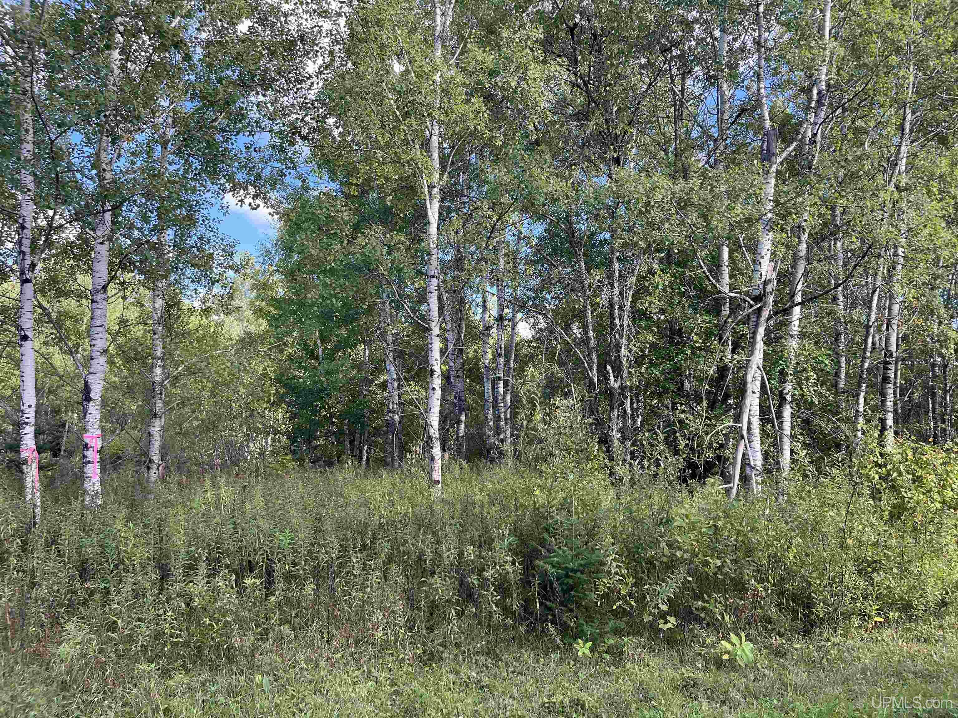 TBD Settlement Long Lake, WI MLS#50192519 Great Lakes and Land