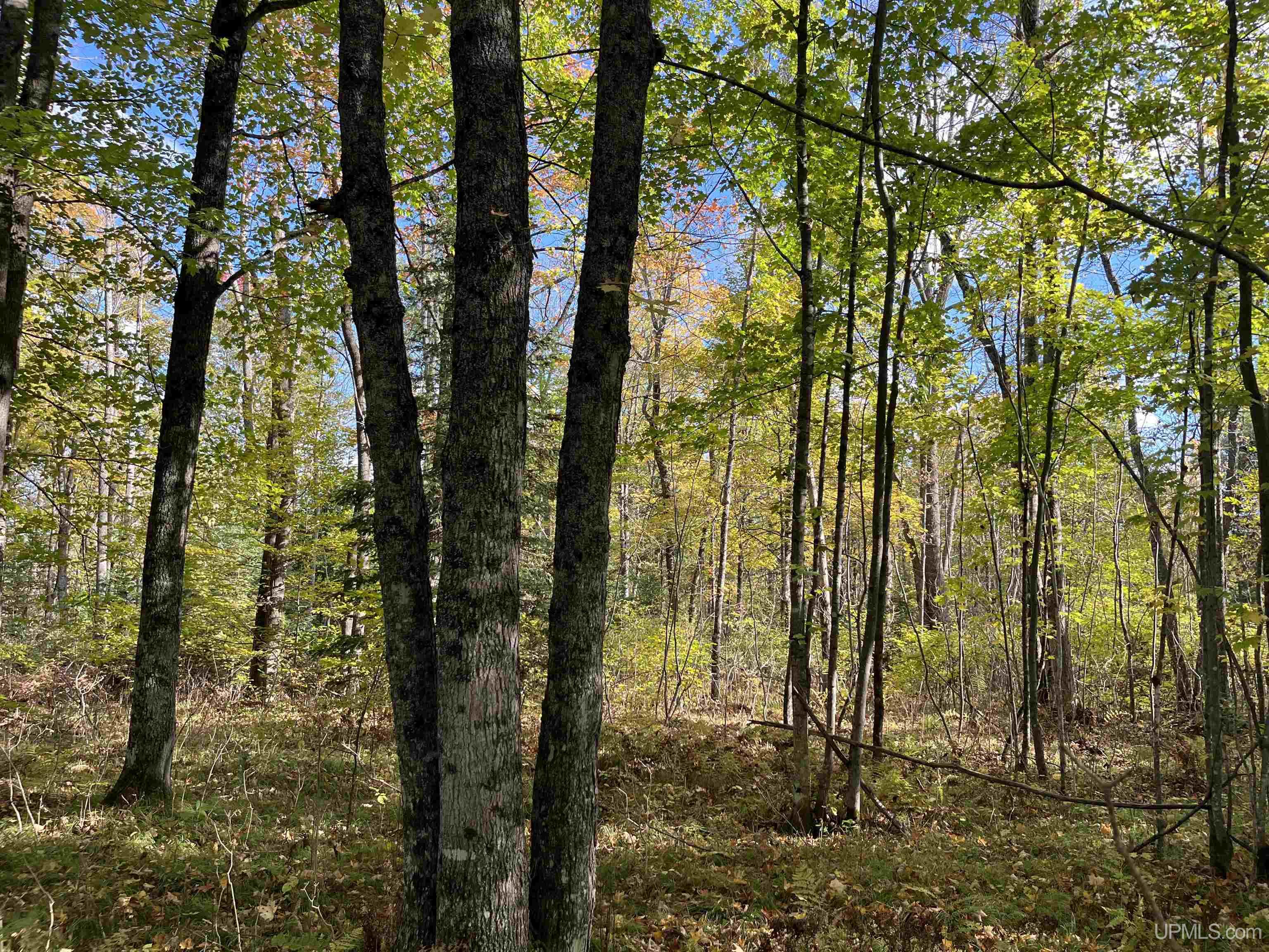 TBD Settlement Long Lake, WI MLS#50192519 Great Lakes and Land