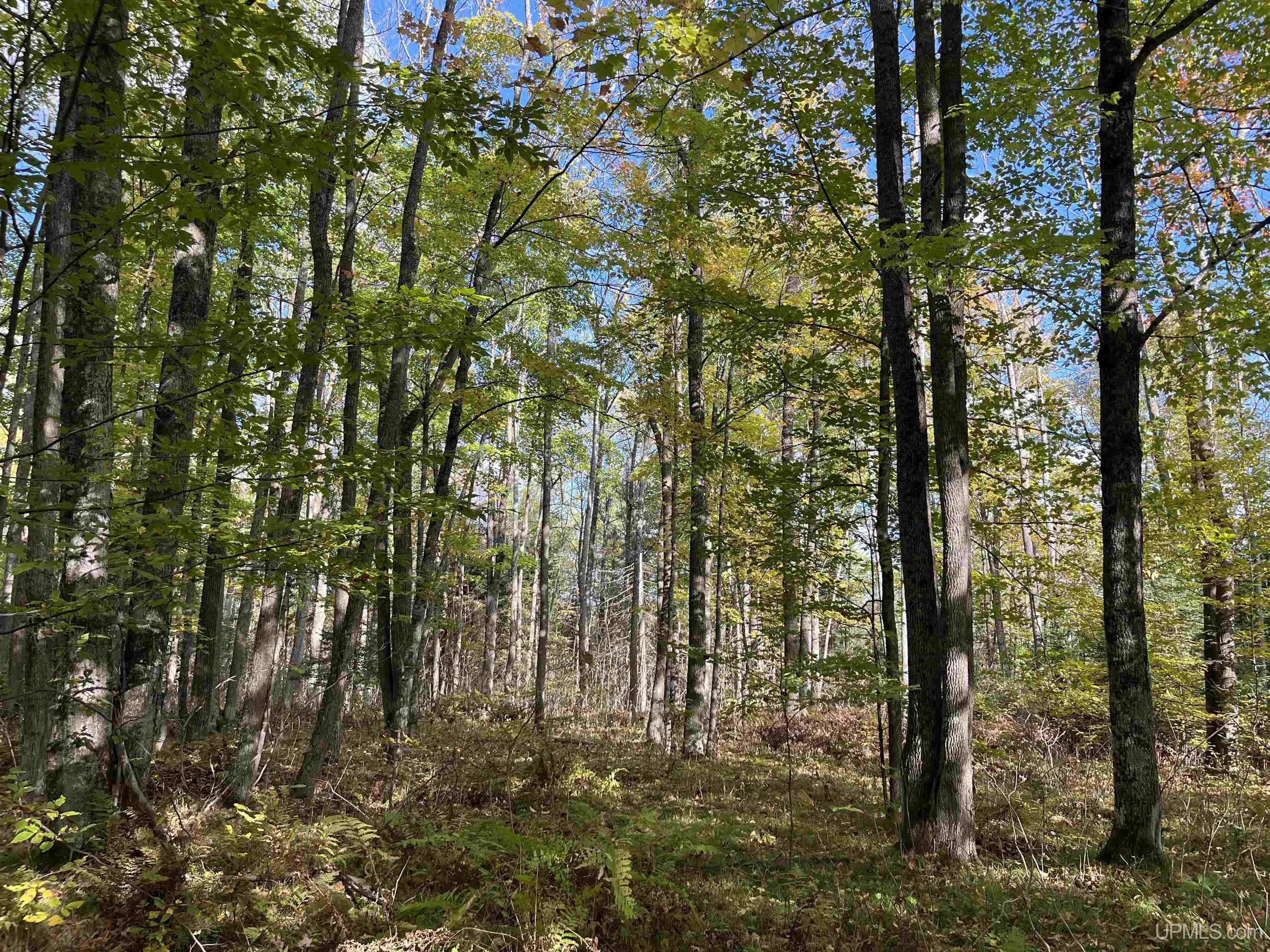 TBD Settlement Long Lake, WI MLS#50192519 Great Lakes and Land