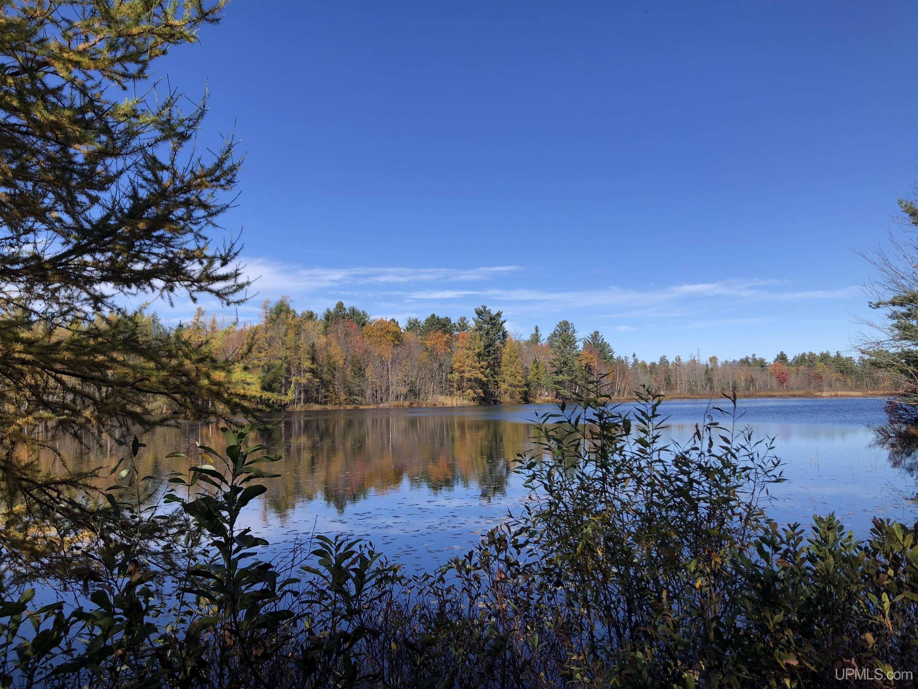 260 N Beauyan Lake Little Lake, MI MLS#50193540 Great Lakes and Land
