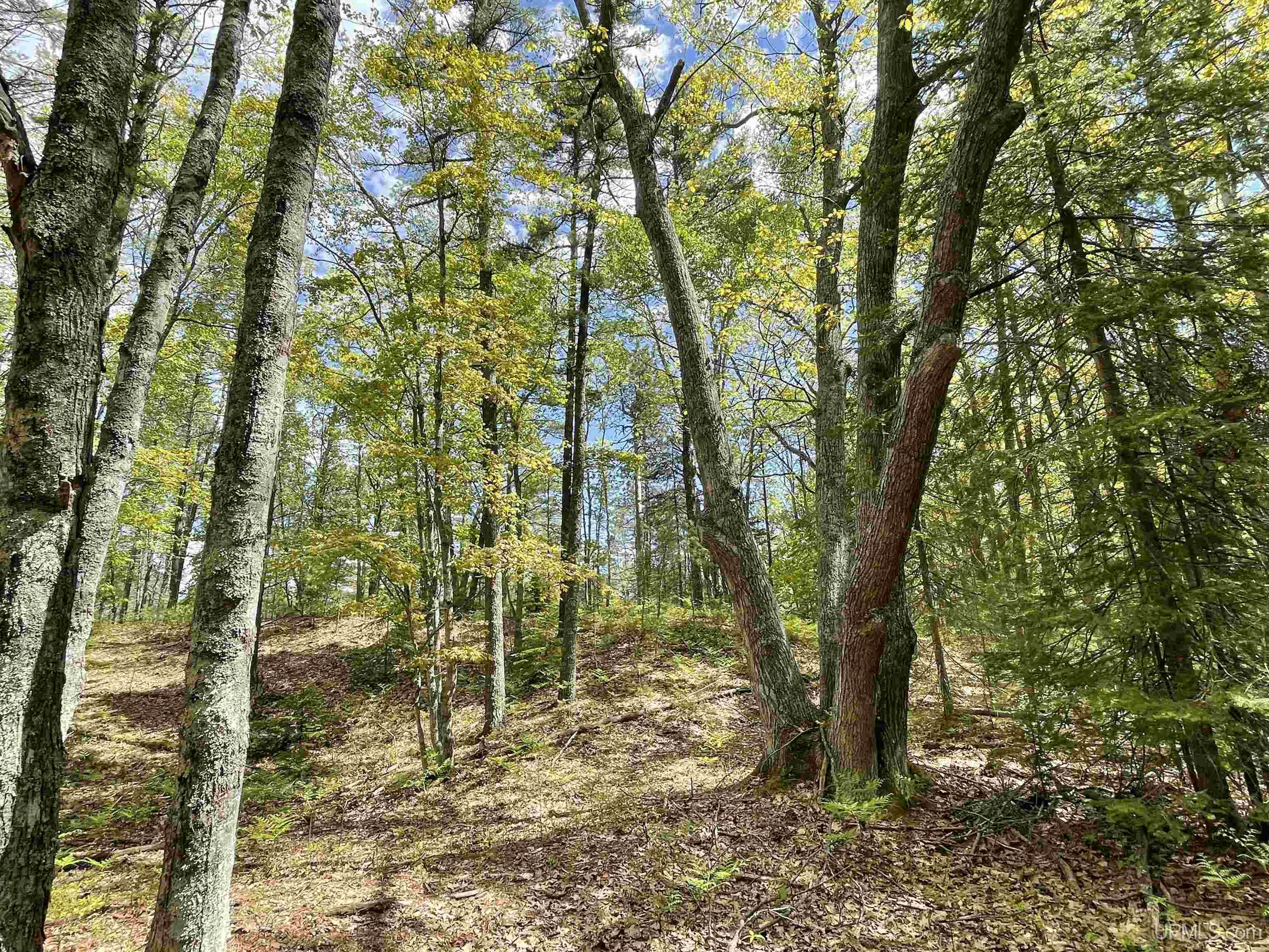 1396 FF Top O Lake Gulliver, MI MLS#50194328 Great Lakes and Land