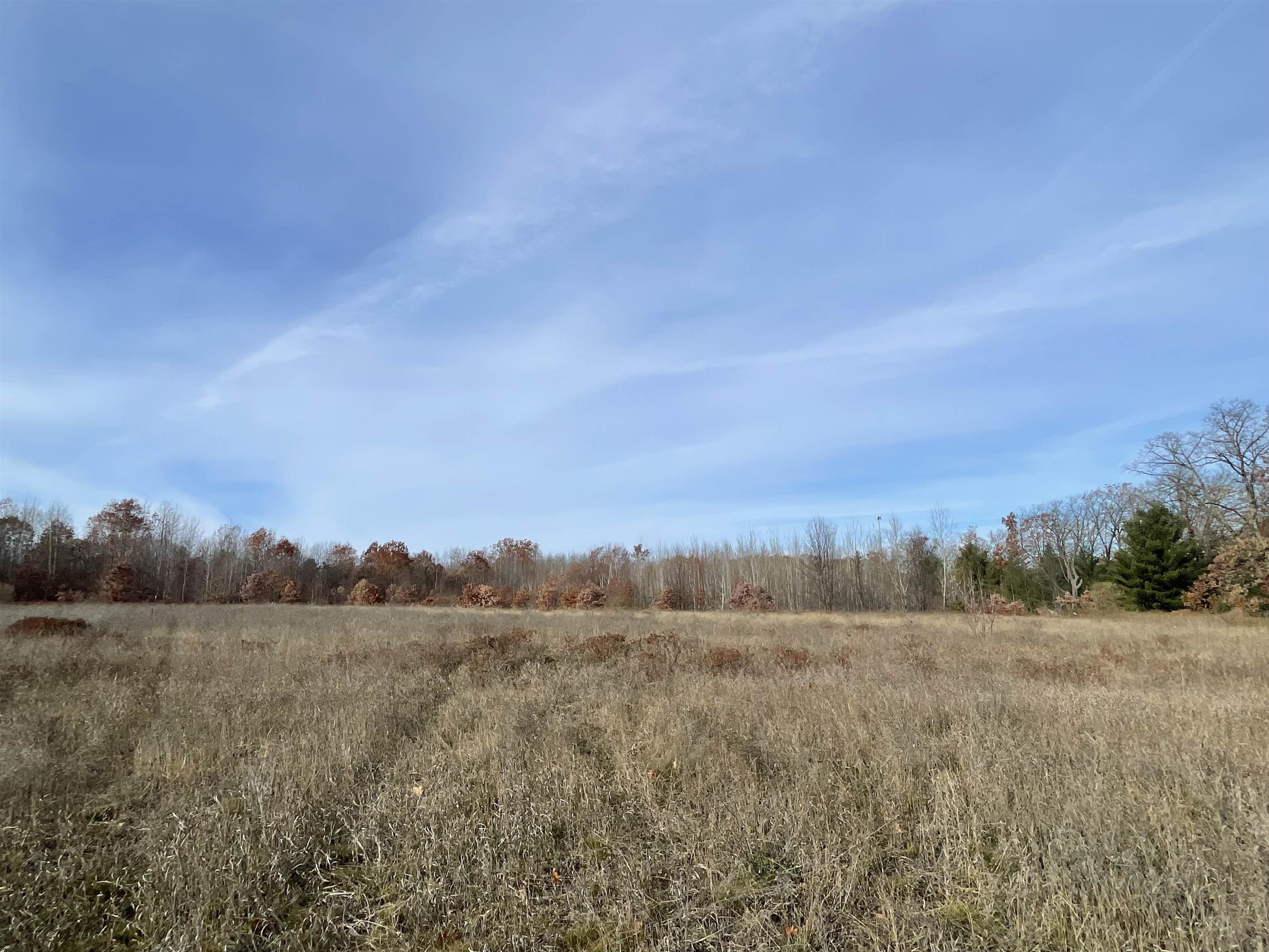 NHN N Clare Avenue Harrison, MI 48625 - $195,000