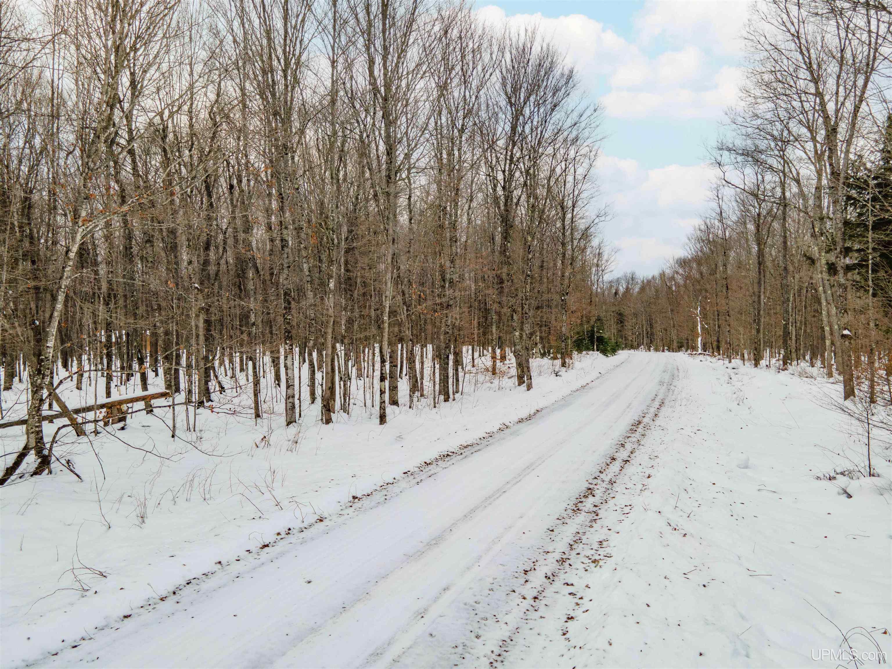 Lot 9 Elizabeth Iron River, MI MLS#50196154 Great Lakes and Land