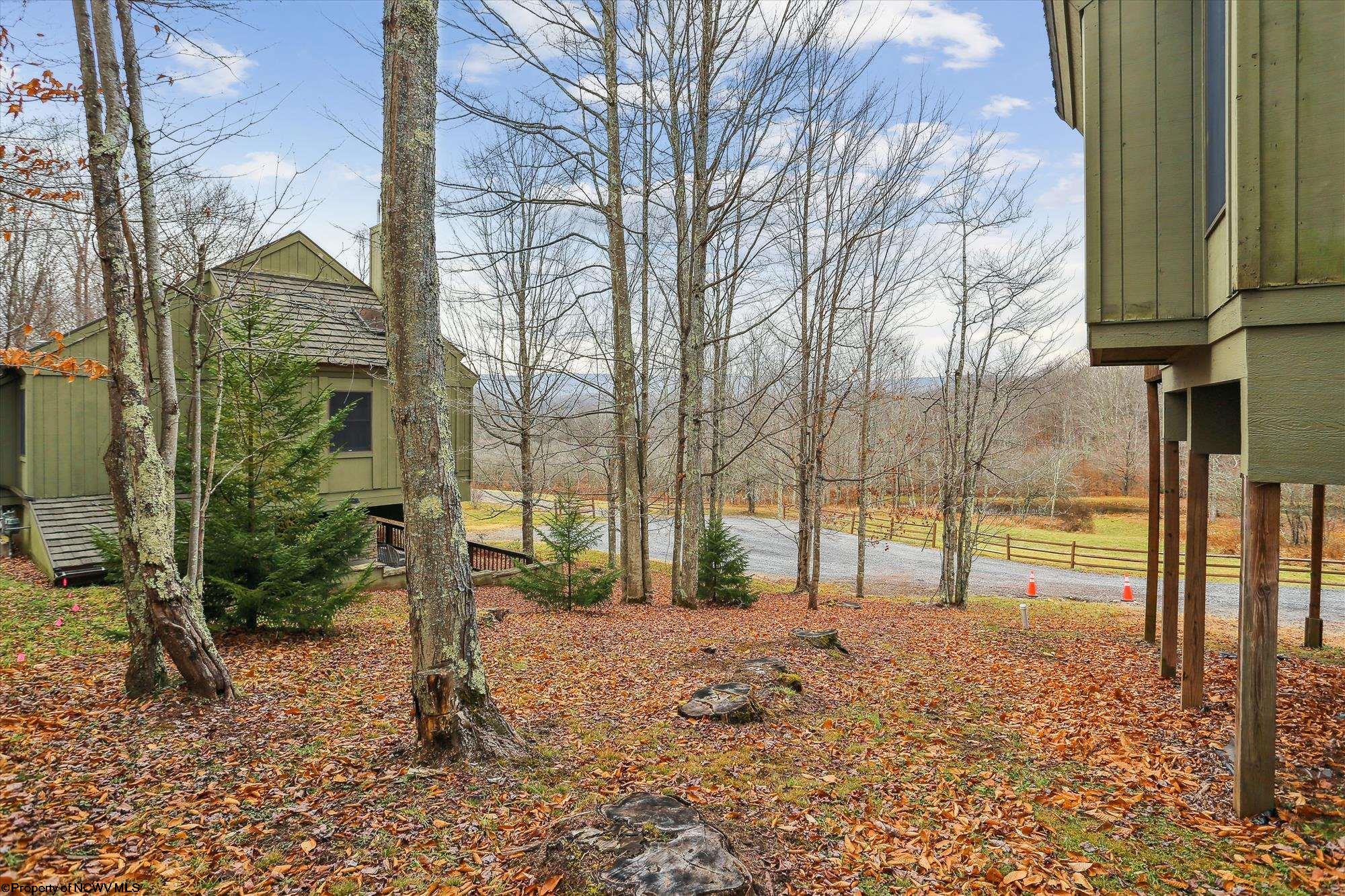199 TREETOP LANE, DAVIS, WV 26260