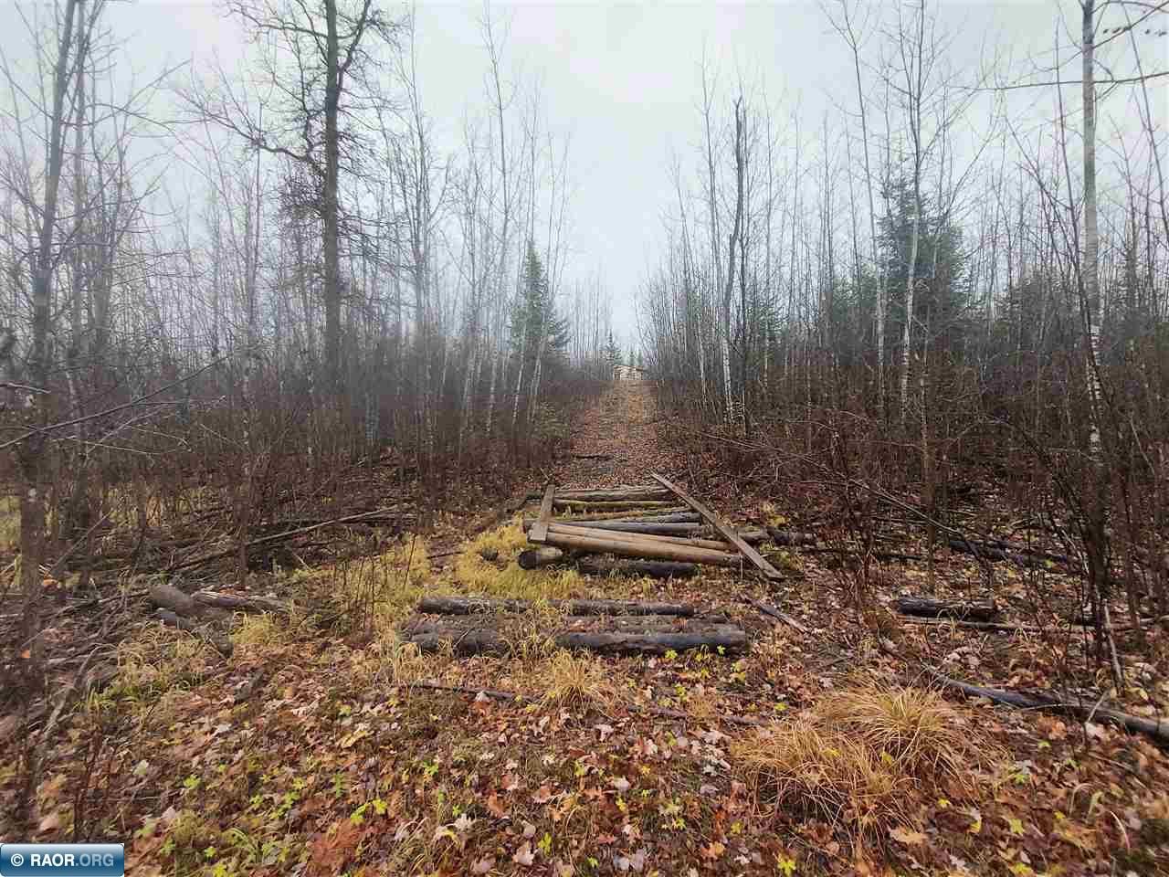 Parcel D County Rd 119, Ray, MN 56669 | $69,500 | Lots & Land | Sold