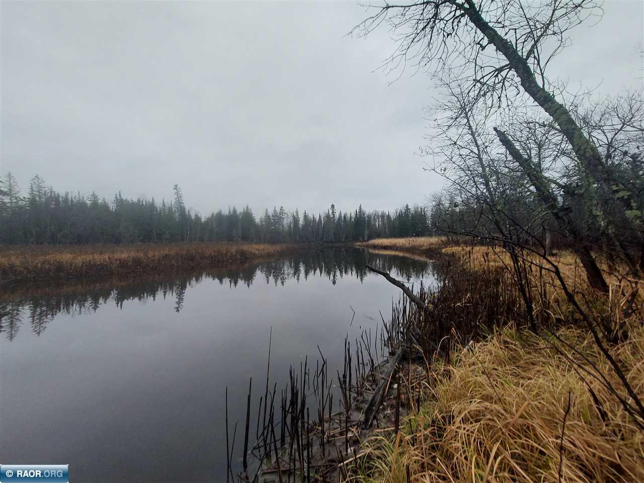 Parcel D County Rd 119, Ray, MN 56669 | $69,500 | Lots & Land | Sold