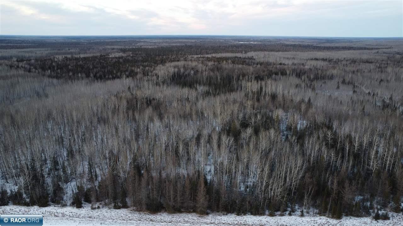 TBD County Road 77, Littlefork, MN 56653 | $24,900 | Lots & Land | Sold