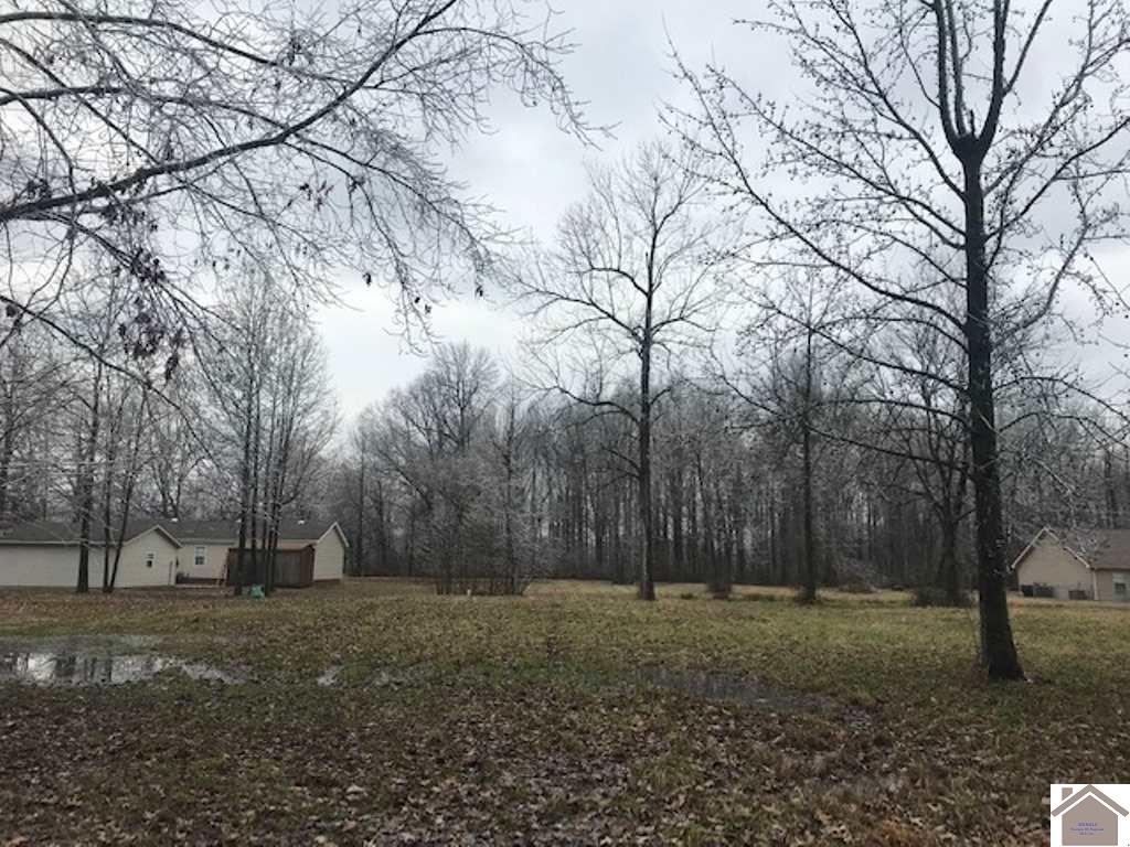 Lot 12 Block E Evelyn Drive Paducah KY 42003 | Sold