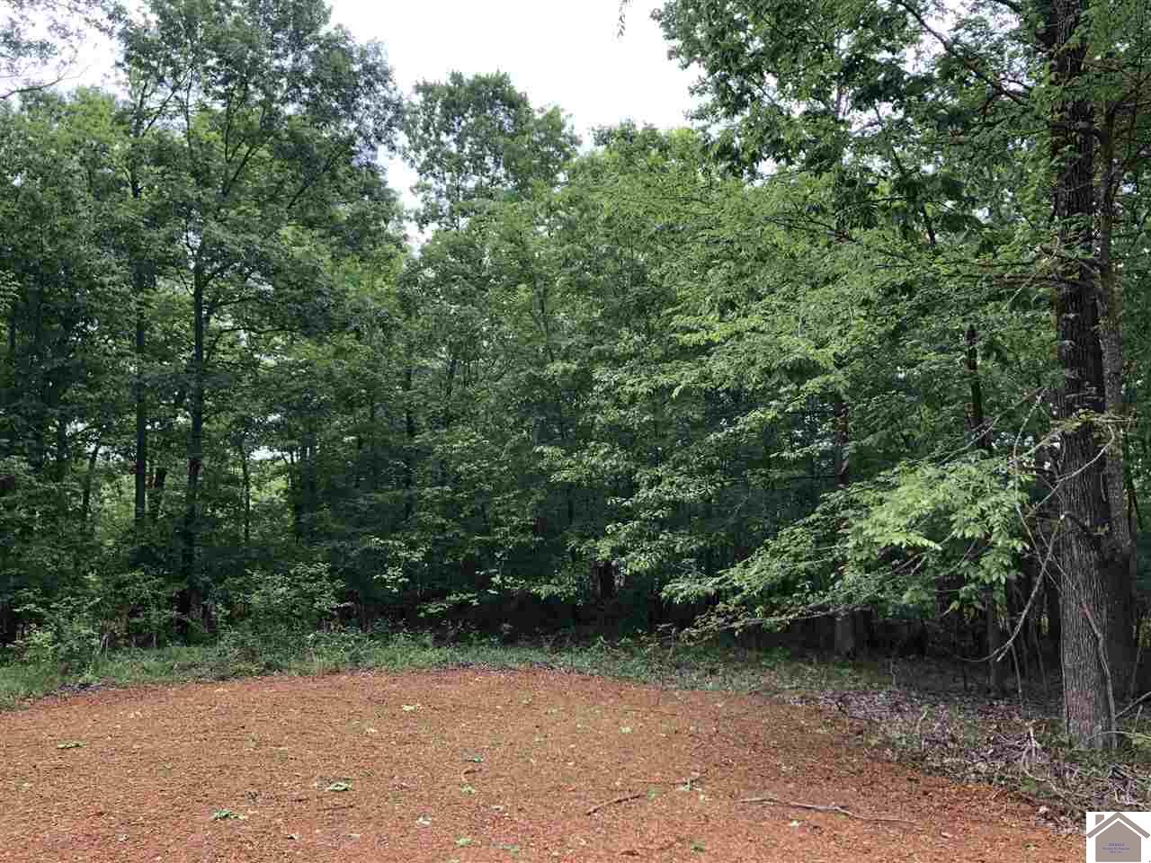 000 Jason Ln Benton KY 42025 | Sold