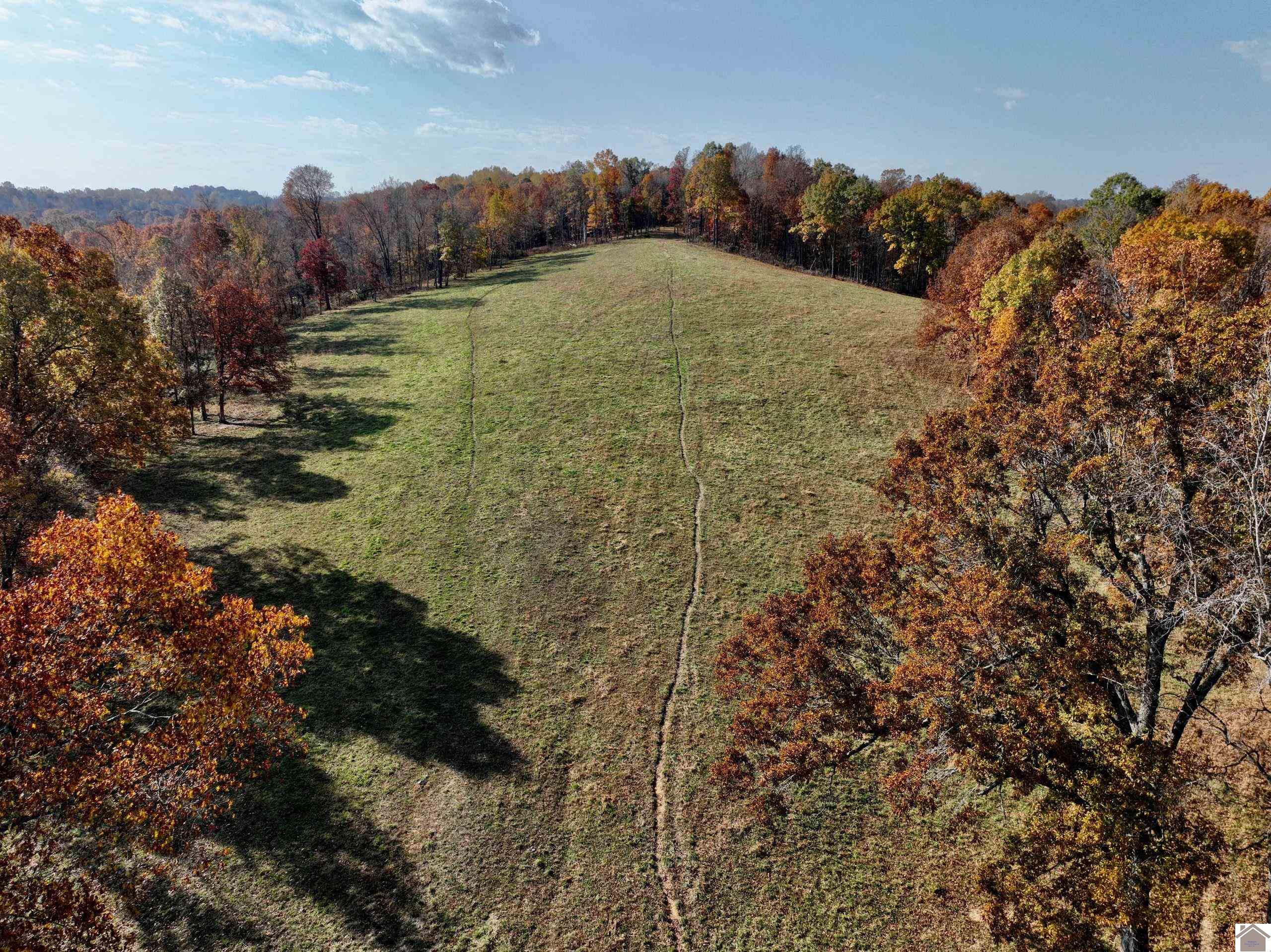 3557 State Route 654 North Marion KY 42064 | Sold