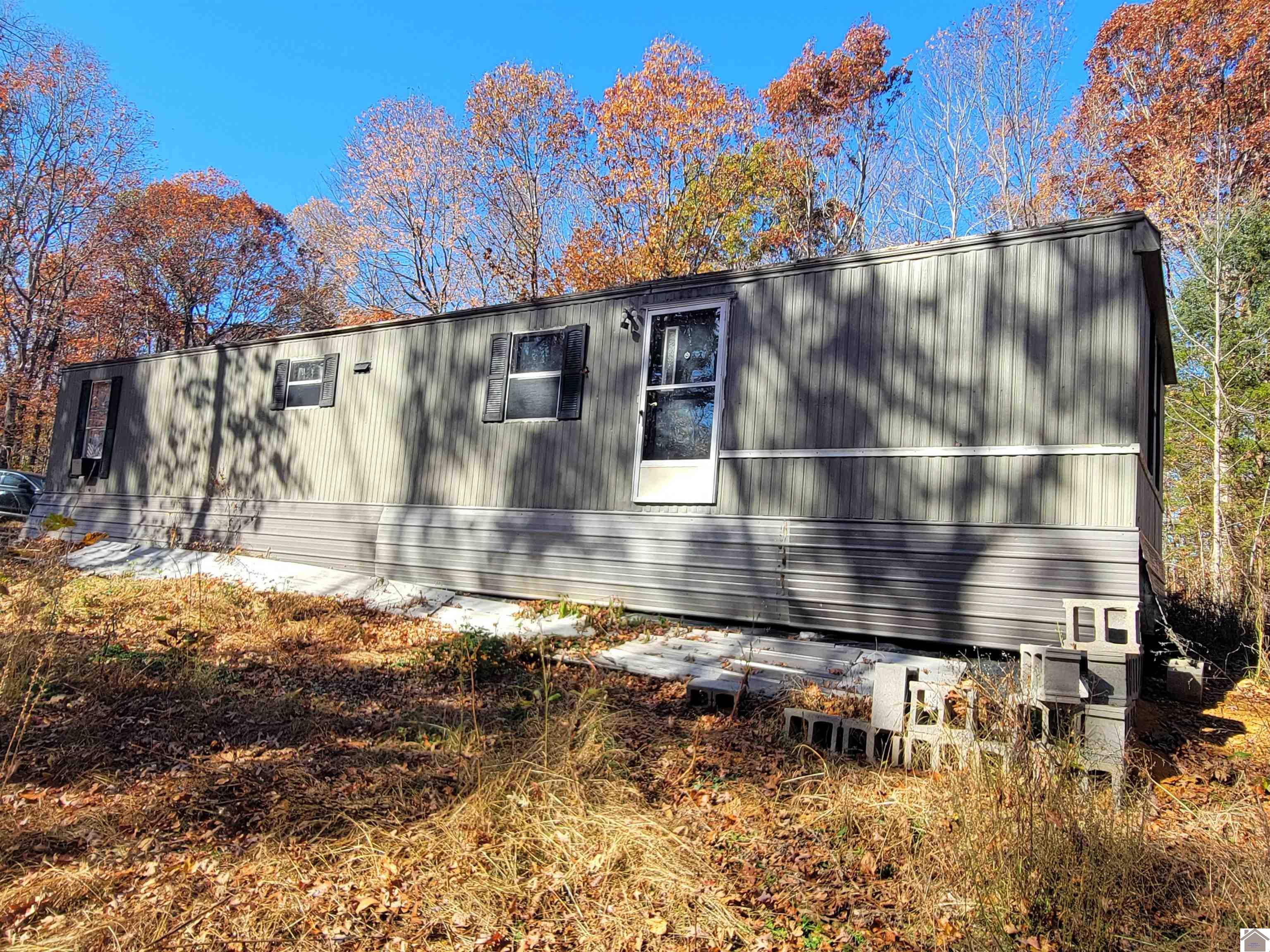 252 Cougar Drive Murray KY 42071 | Sold