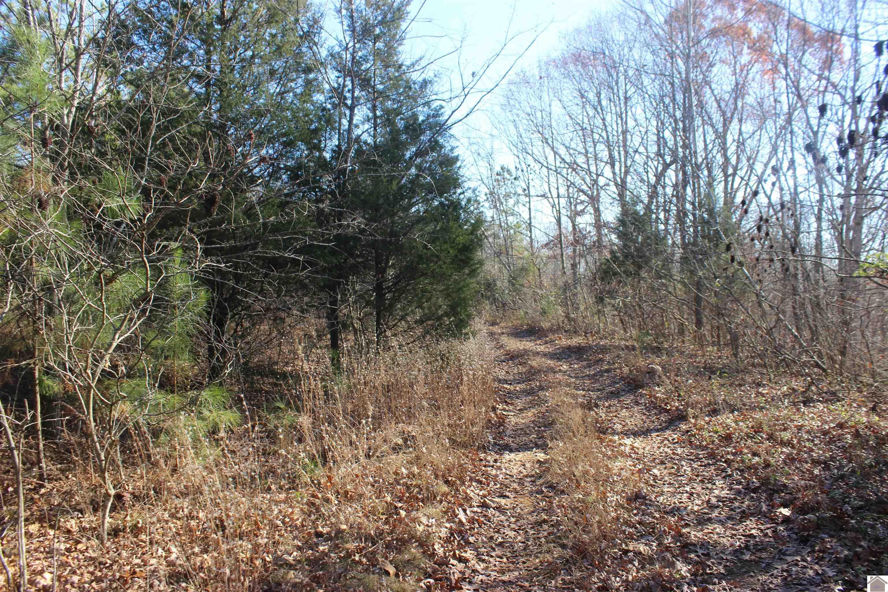000 Valhalla Ln Lots 179-182 Benton KY 42025 | Sold
