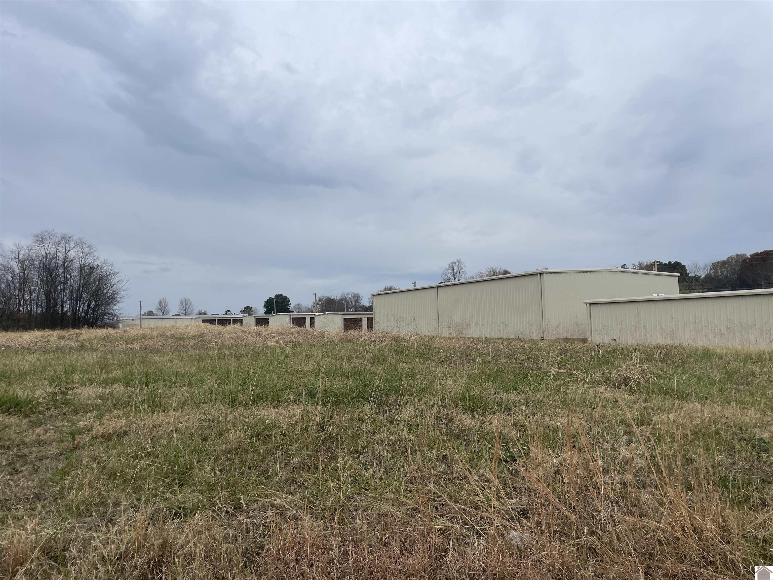 0 E State Route 348 Symsonia KY 42082 | Active