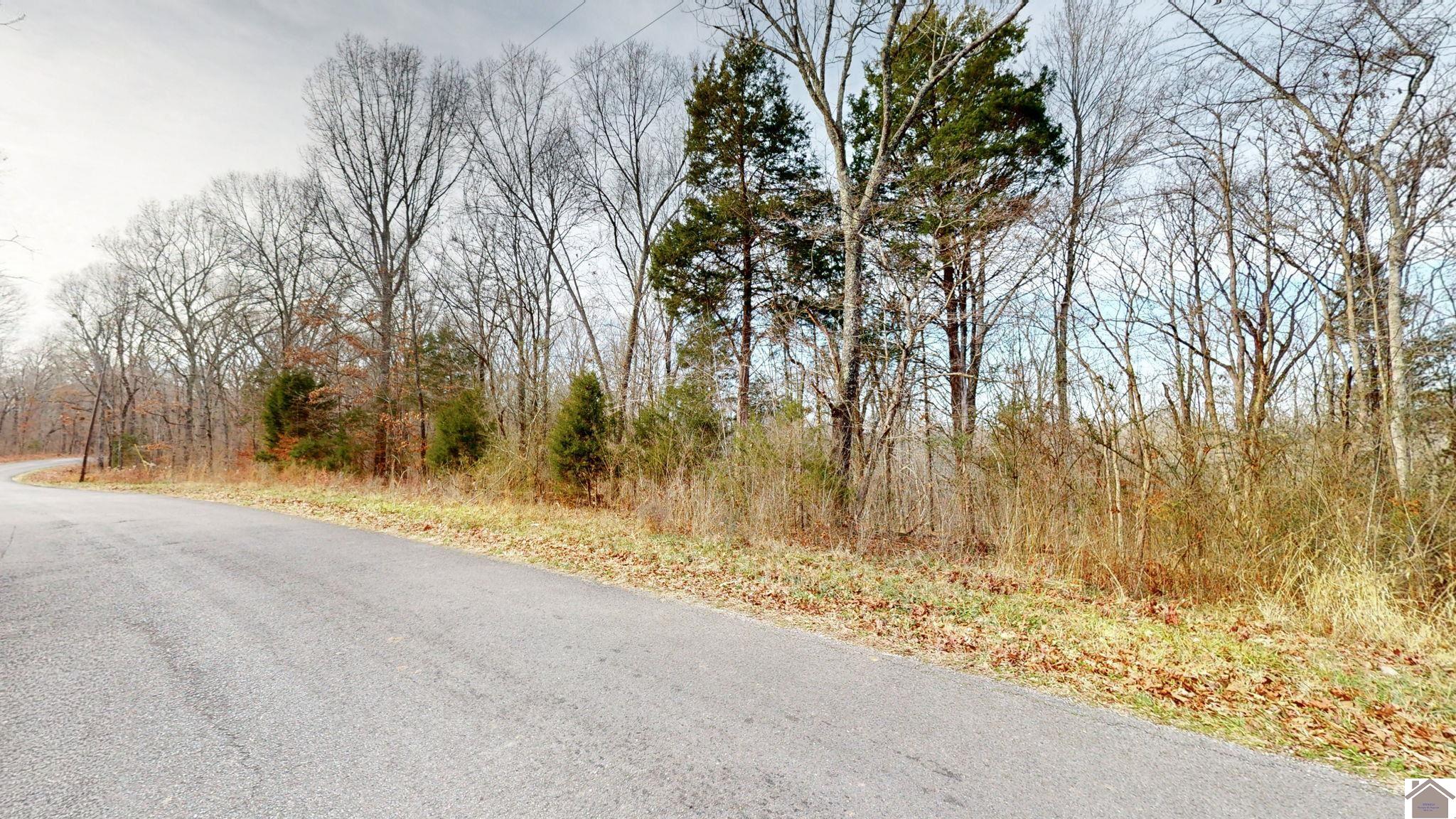 000 Kline Trail (Lot 18) New Concord KY 42076 | Sold