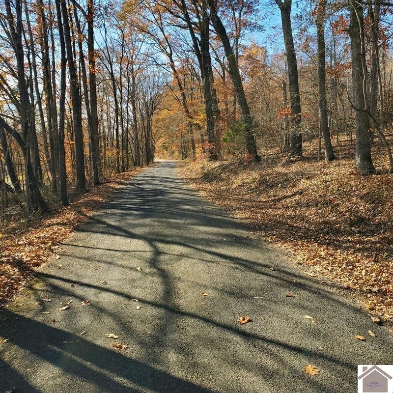 00 E State Line Road Hazel KY 42049 | Sold