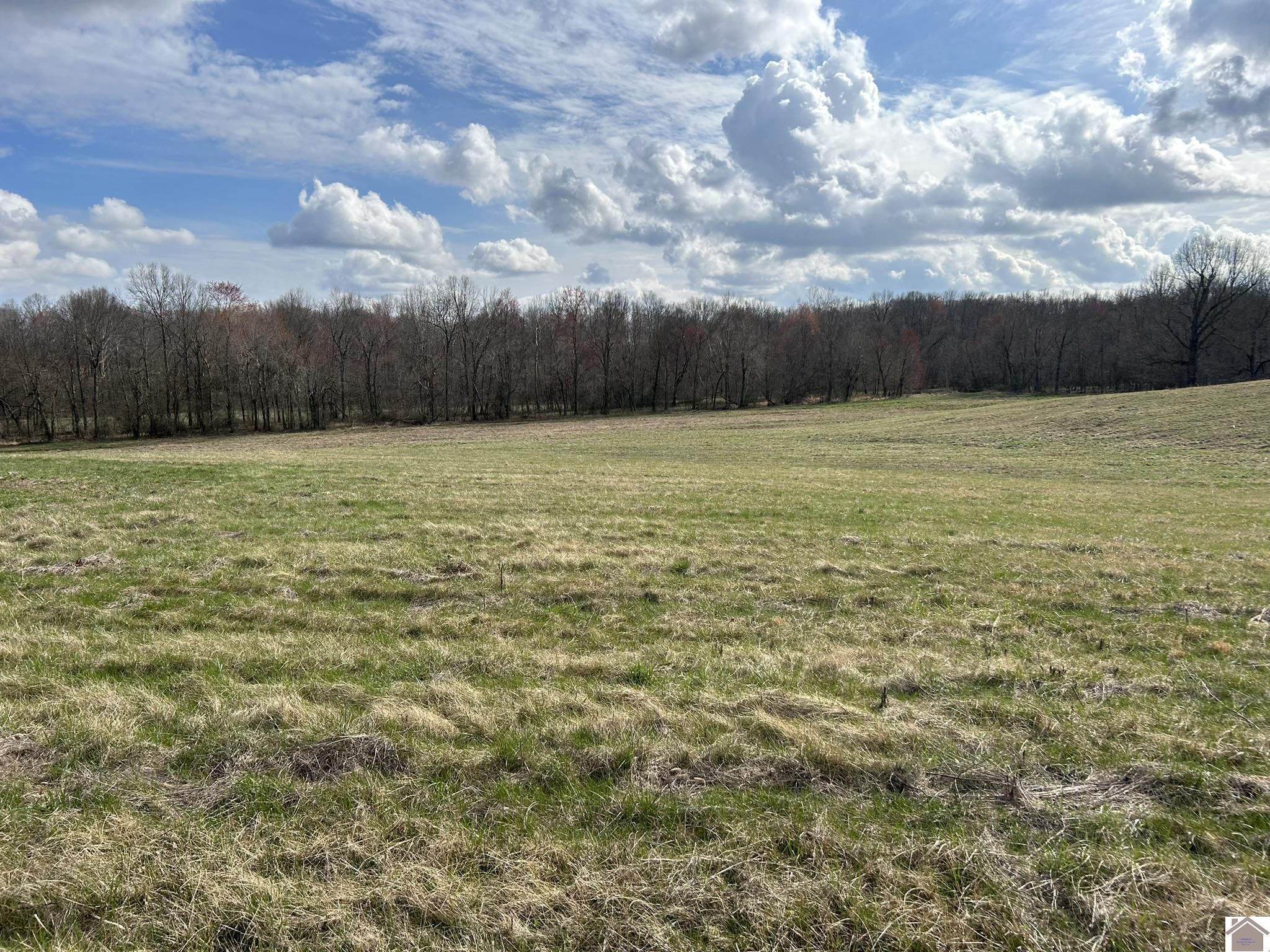 824 Walnut Road Boaz KY 42027 | Sold