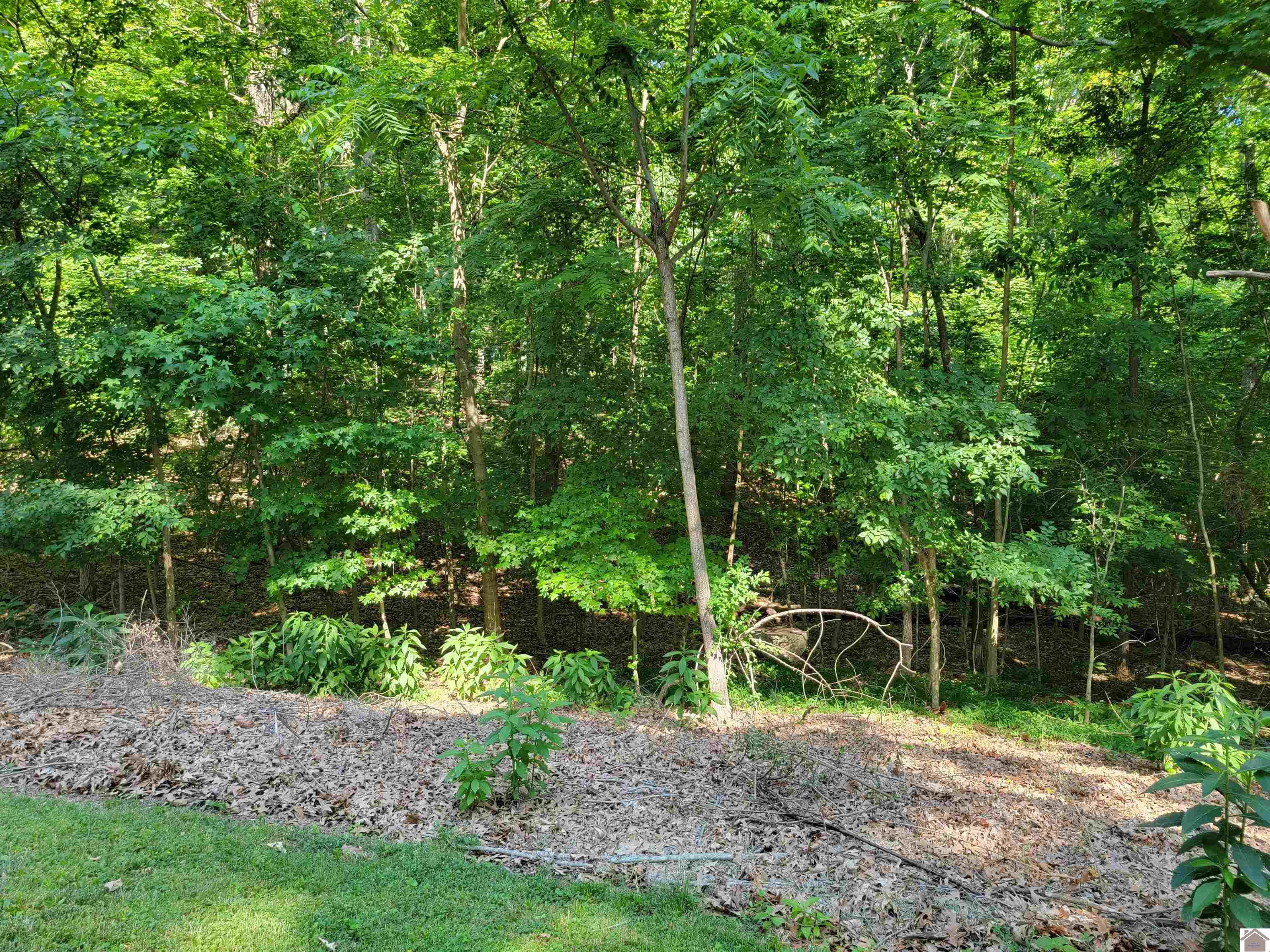 000 Cherokee Loop Eddyville KY 42038 | Sold