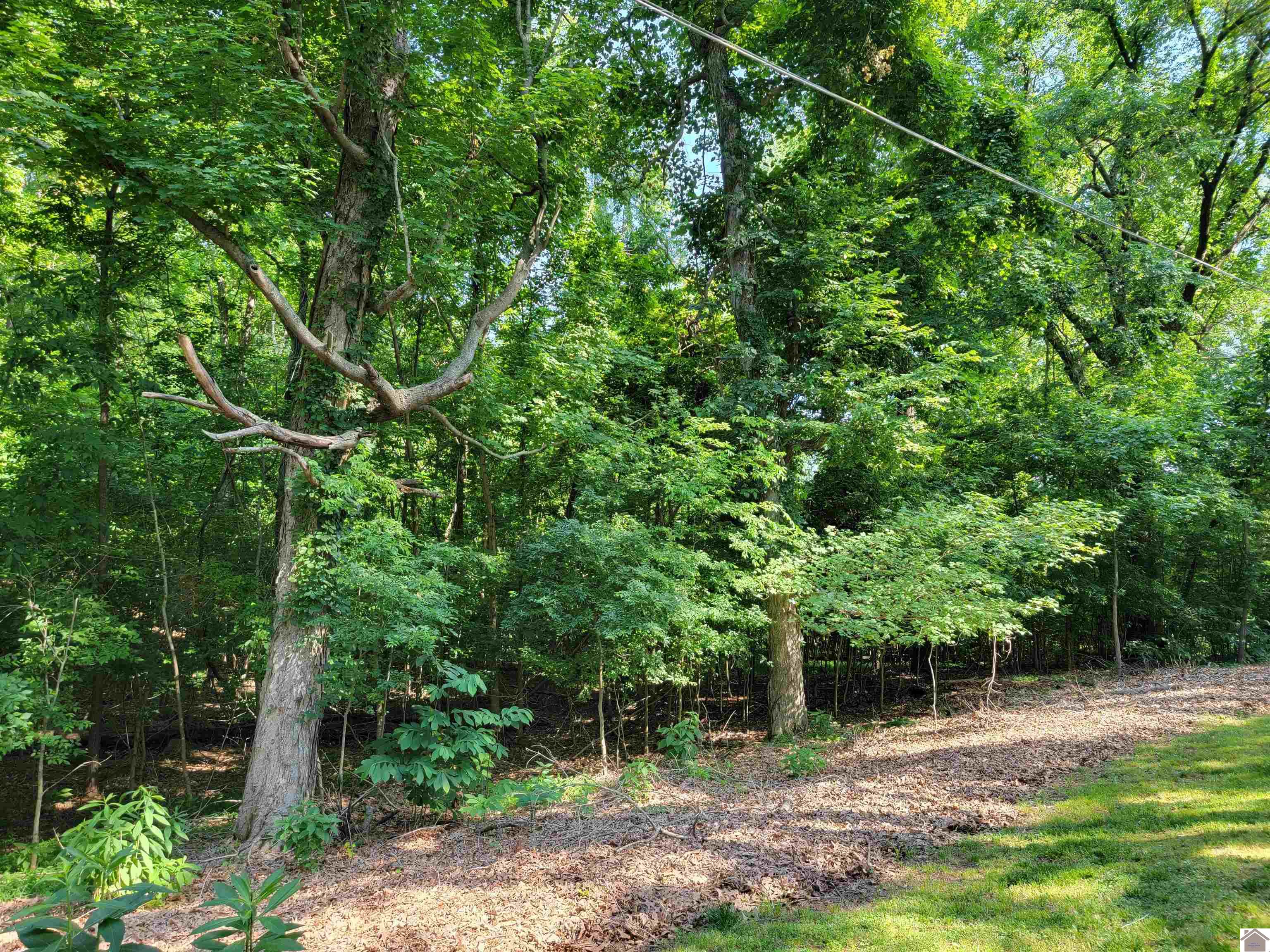 000 Cherokee Loop Eddyville KY 42038 | Sold