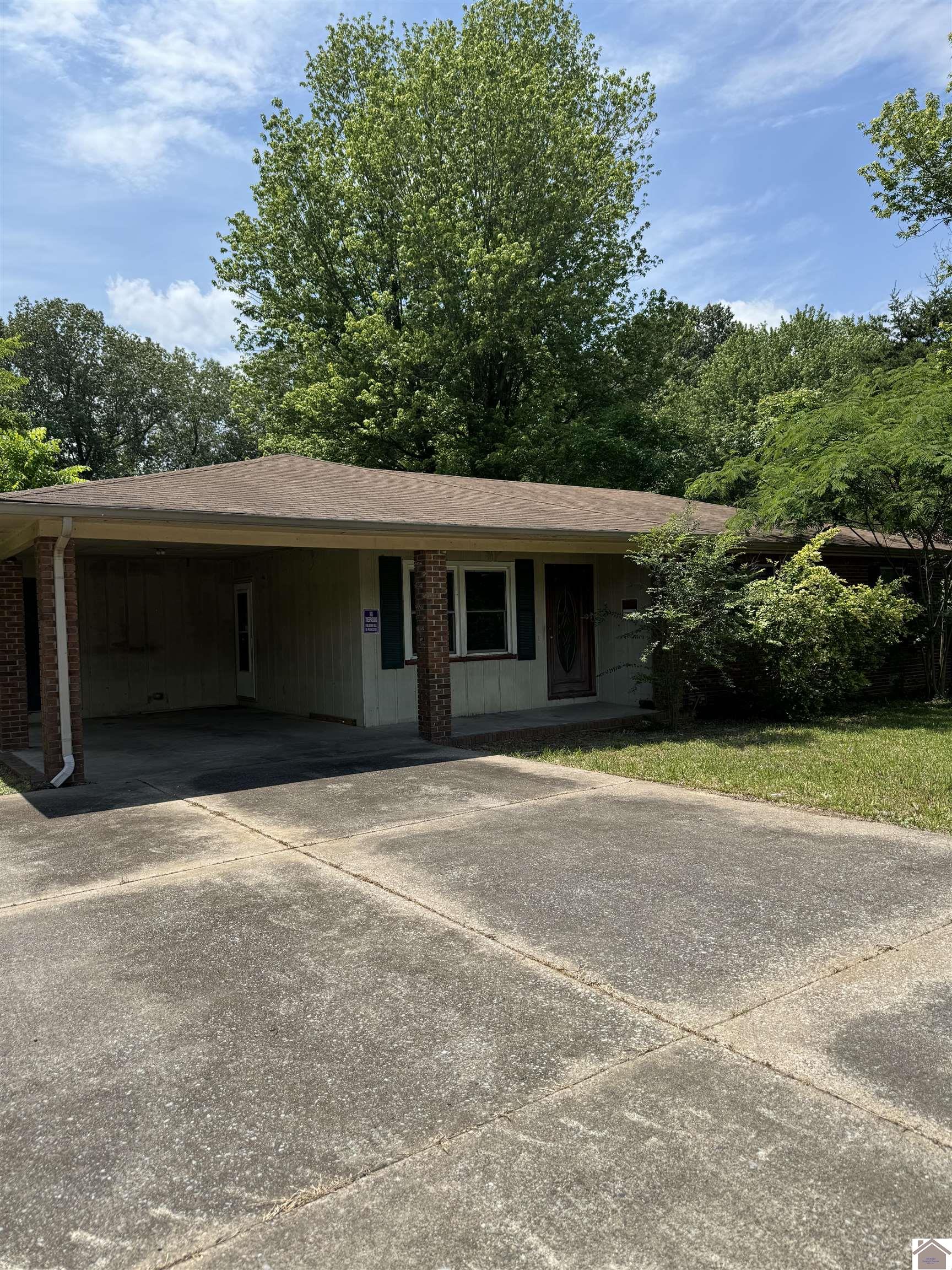 316 Loretta Dr Ledbetter KY 42058 | Sold