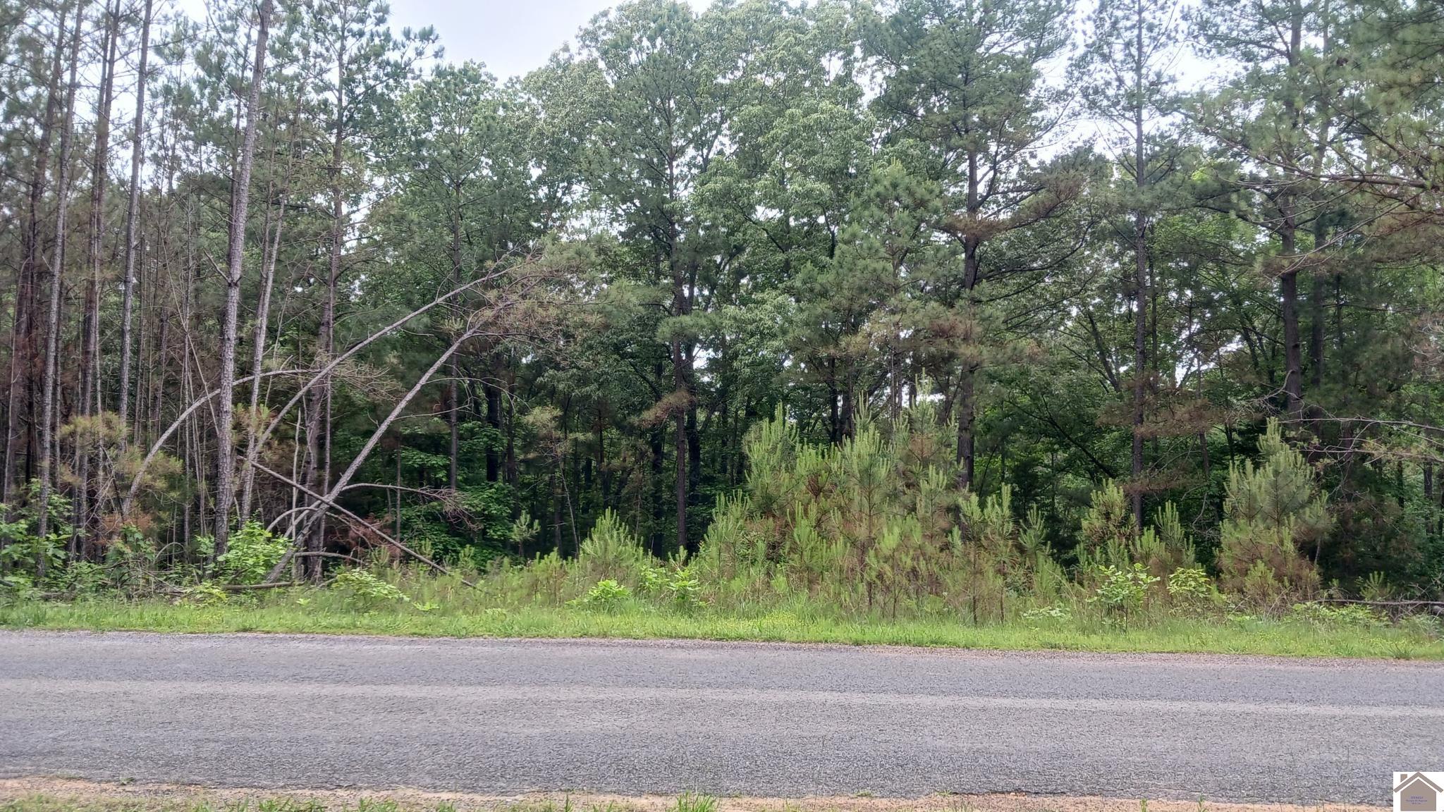 00 Windsong Circle Murray KY 42071 | Active