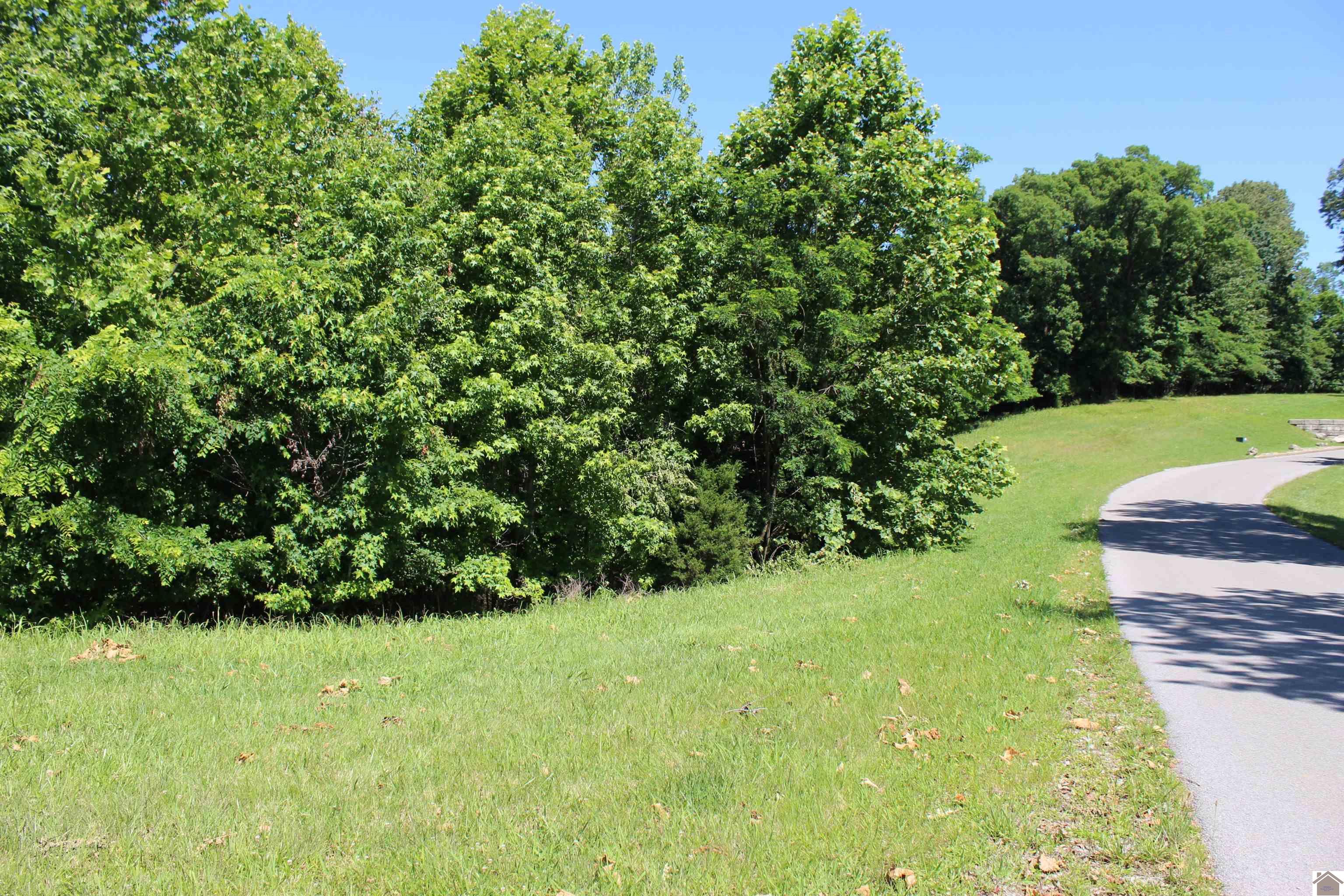 Lots 16 Oak View Lane Eddyville KY 42038 | Active