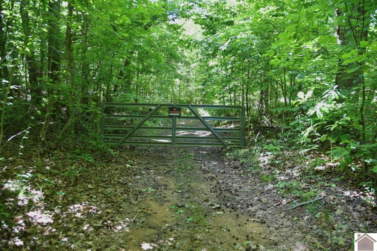 000 Cannon Road Princeton KY 42445 | Sold