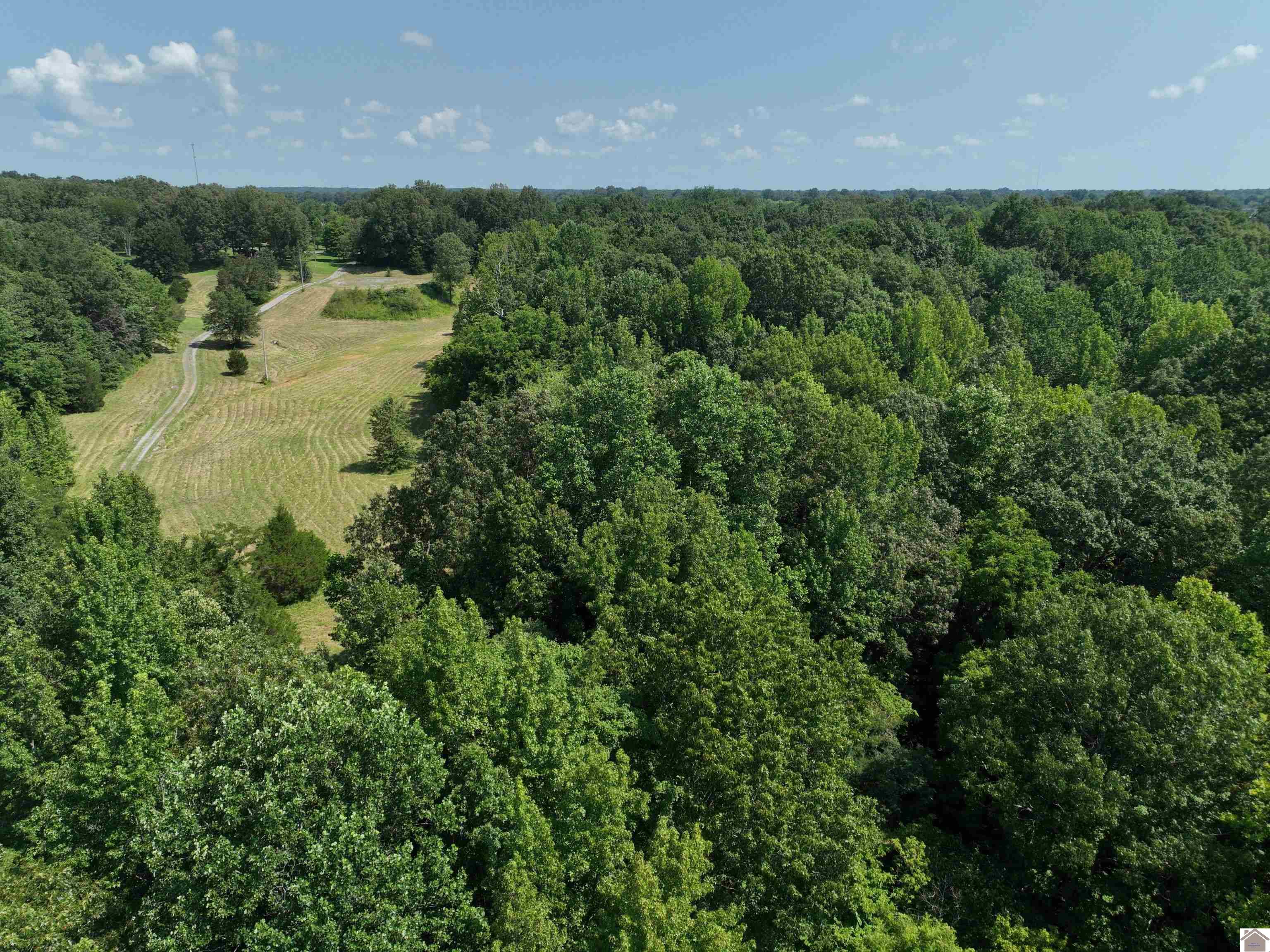 000 Chickasaw Bluff Rd Benton KY 42025 | Sold