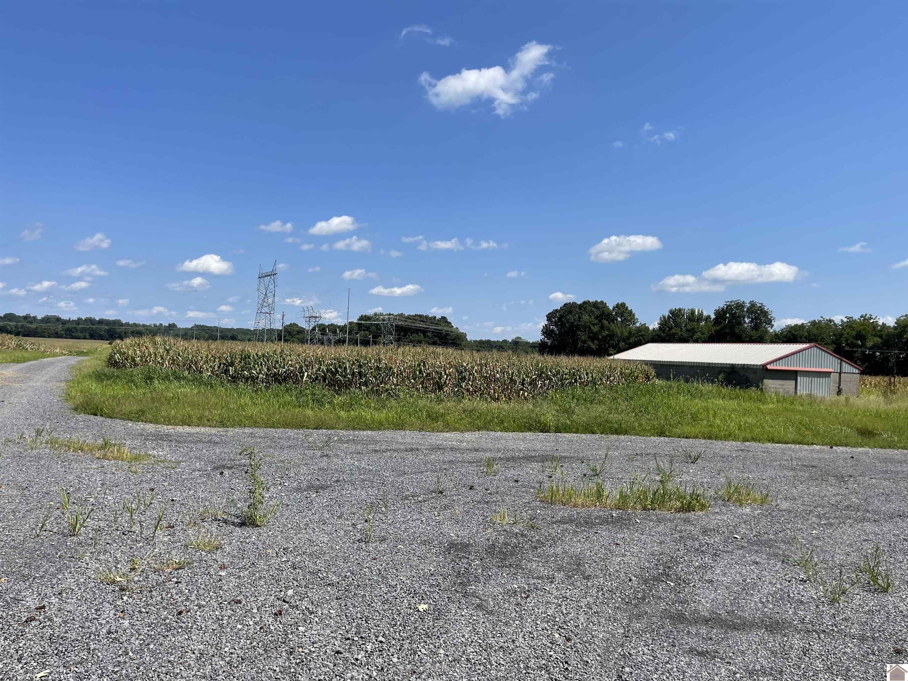 00 Old Trout Road Dexter KY 42036 | Contract Received