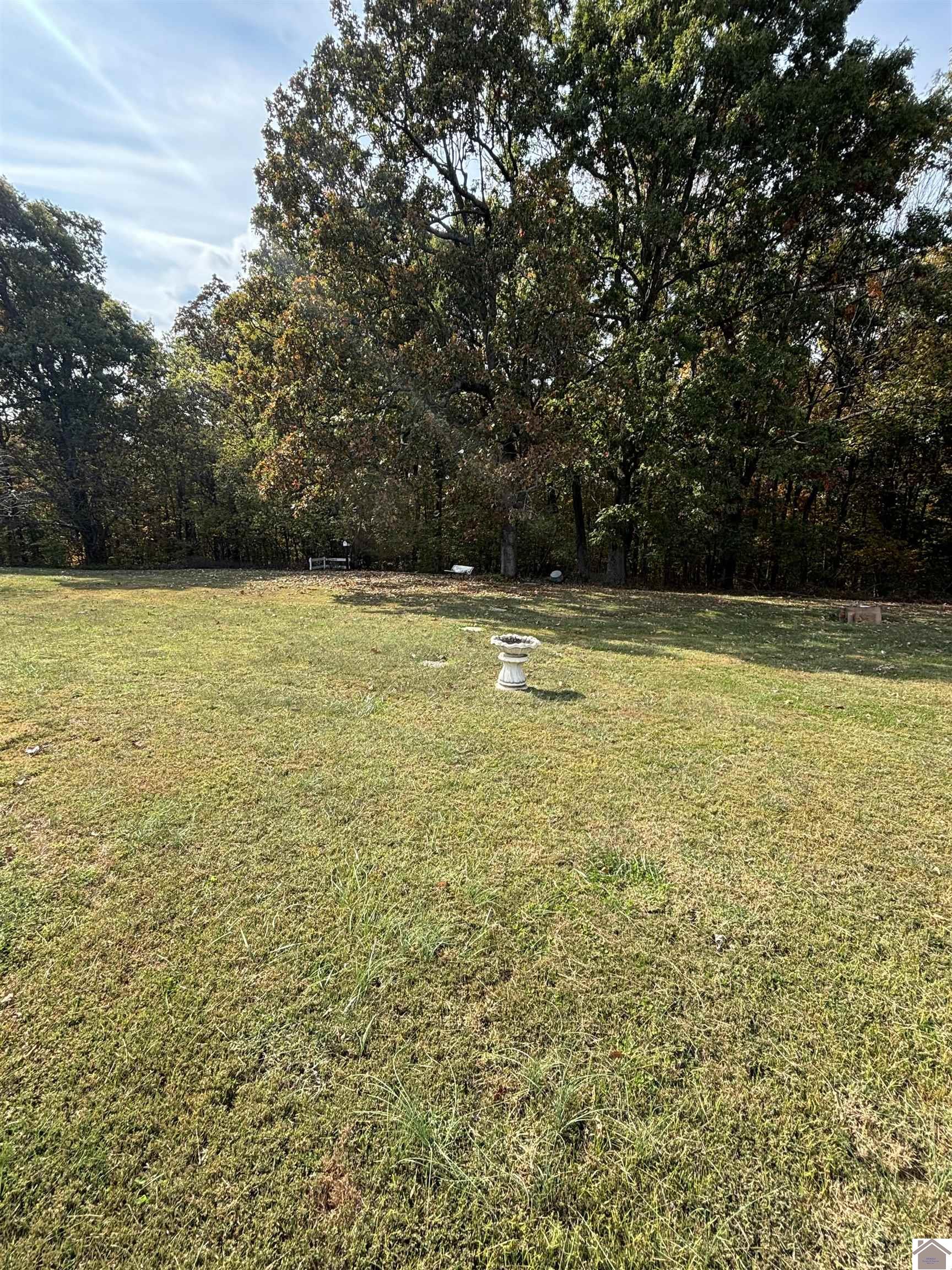 254 AH Clements Rd Marion KY 42064 | Sold