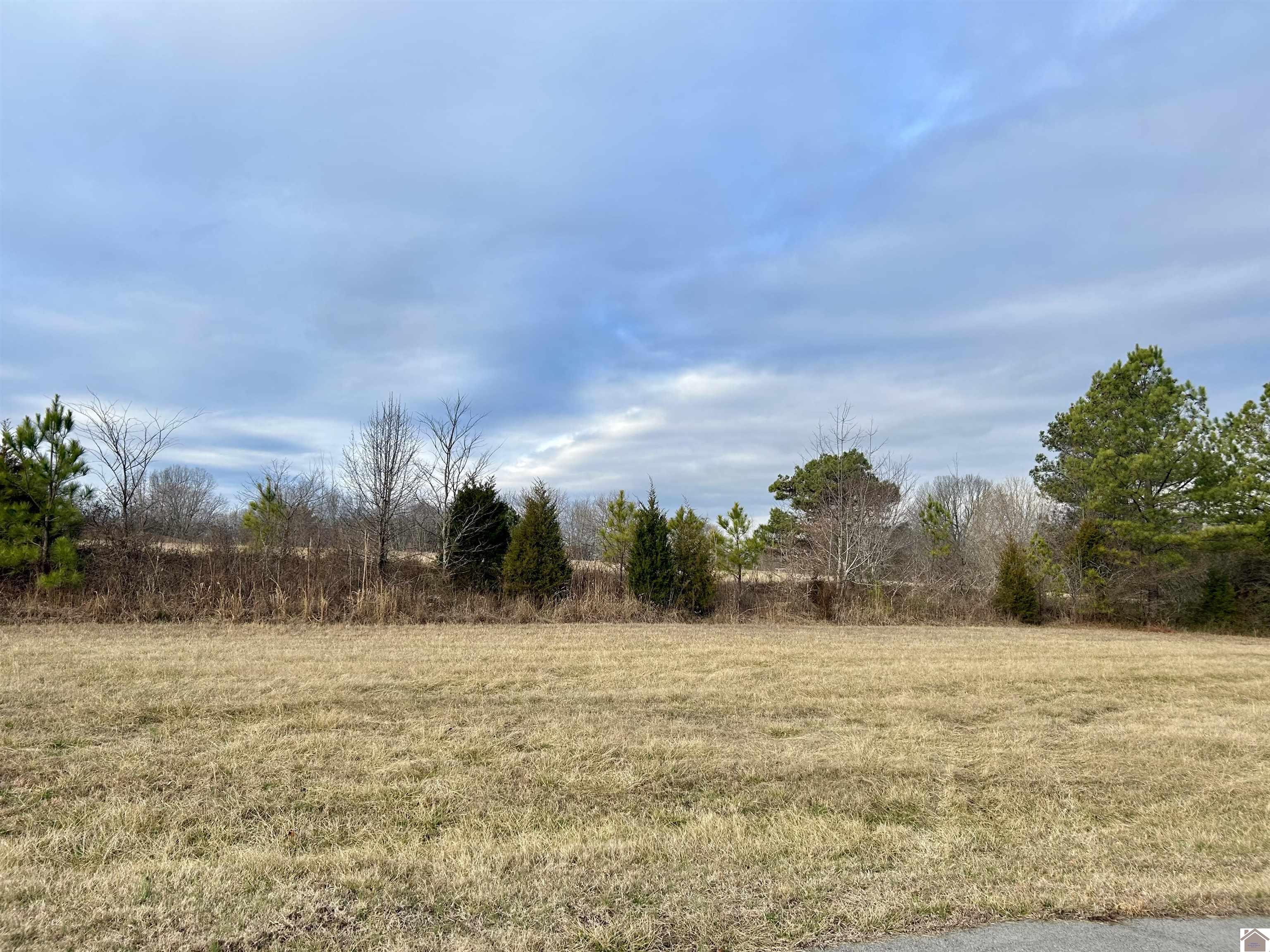 Lot 8 Hill Creek Ln Benton KY 42025 | Active