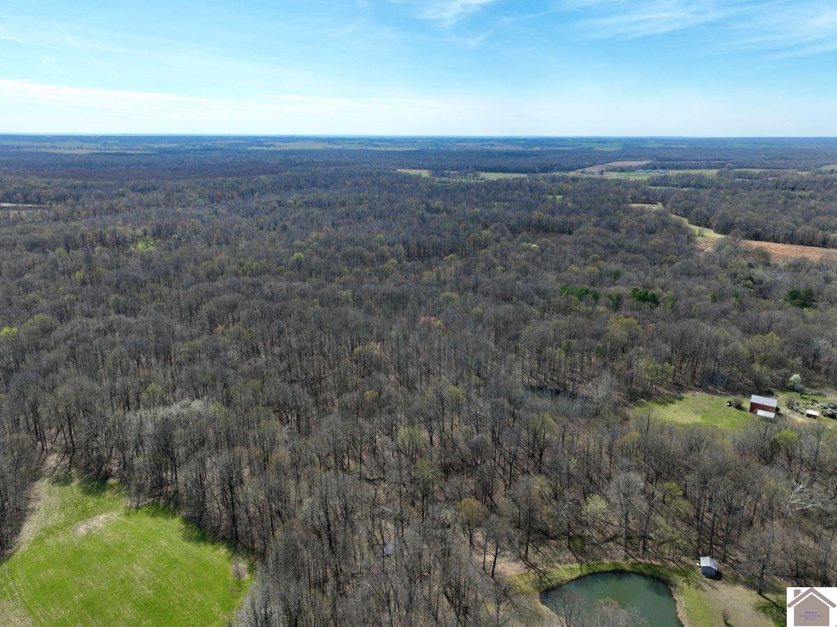 000 State Route 1748 Fancy Farm KY 42039 | Active