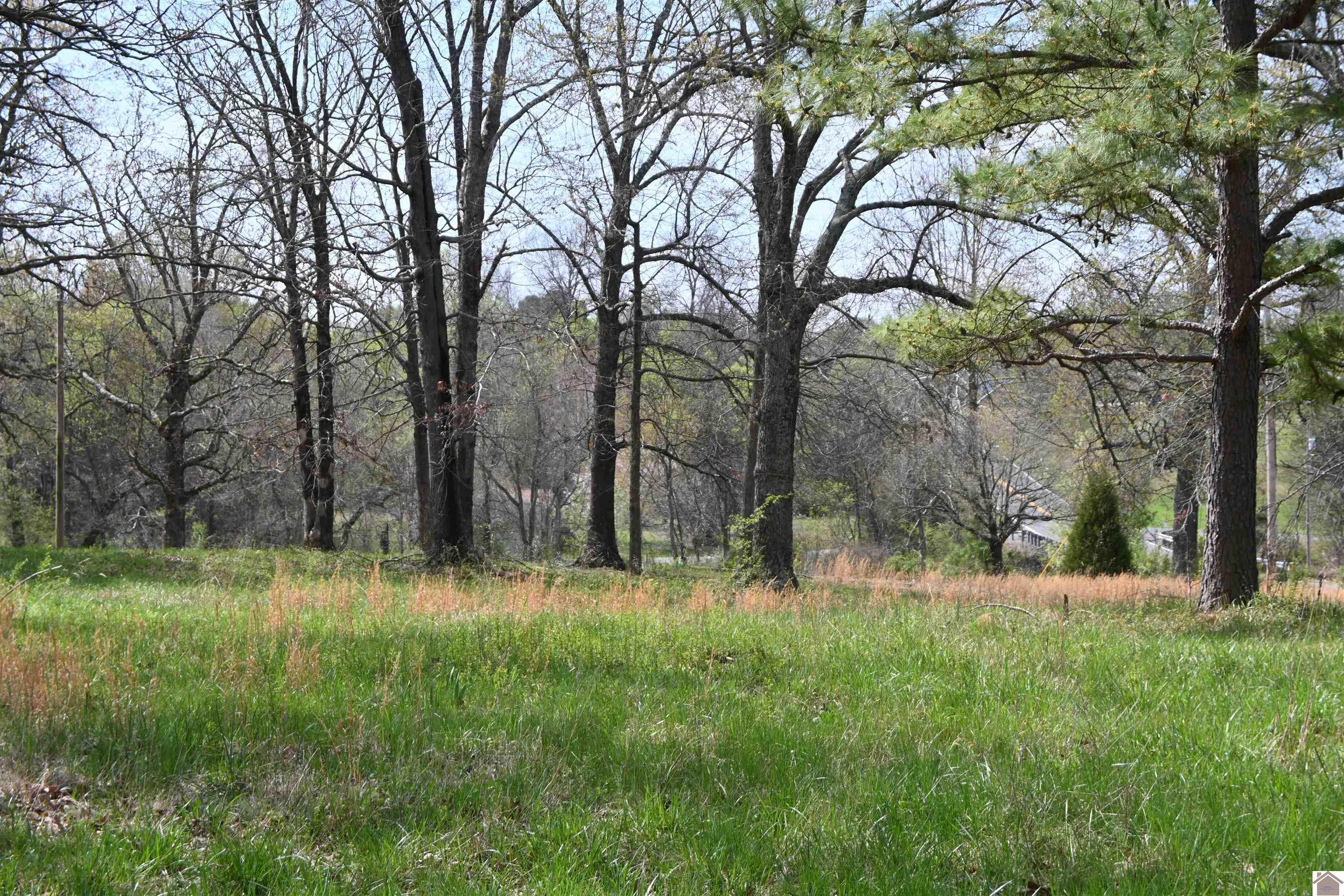 2150 US Hwy 641 North Benton KY 42025 | Active