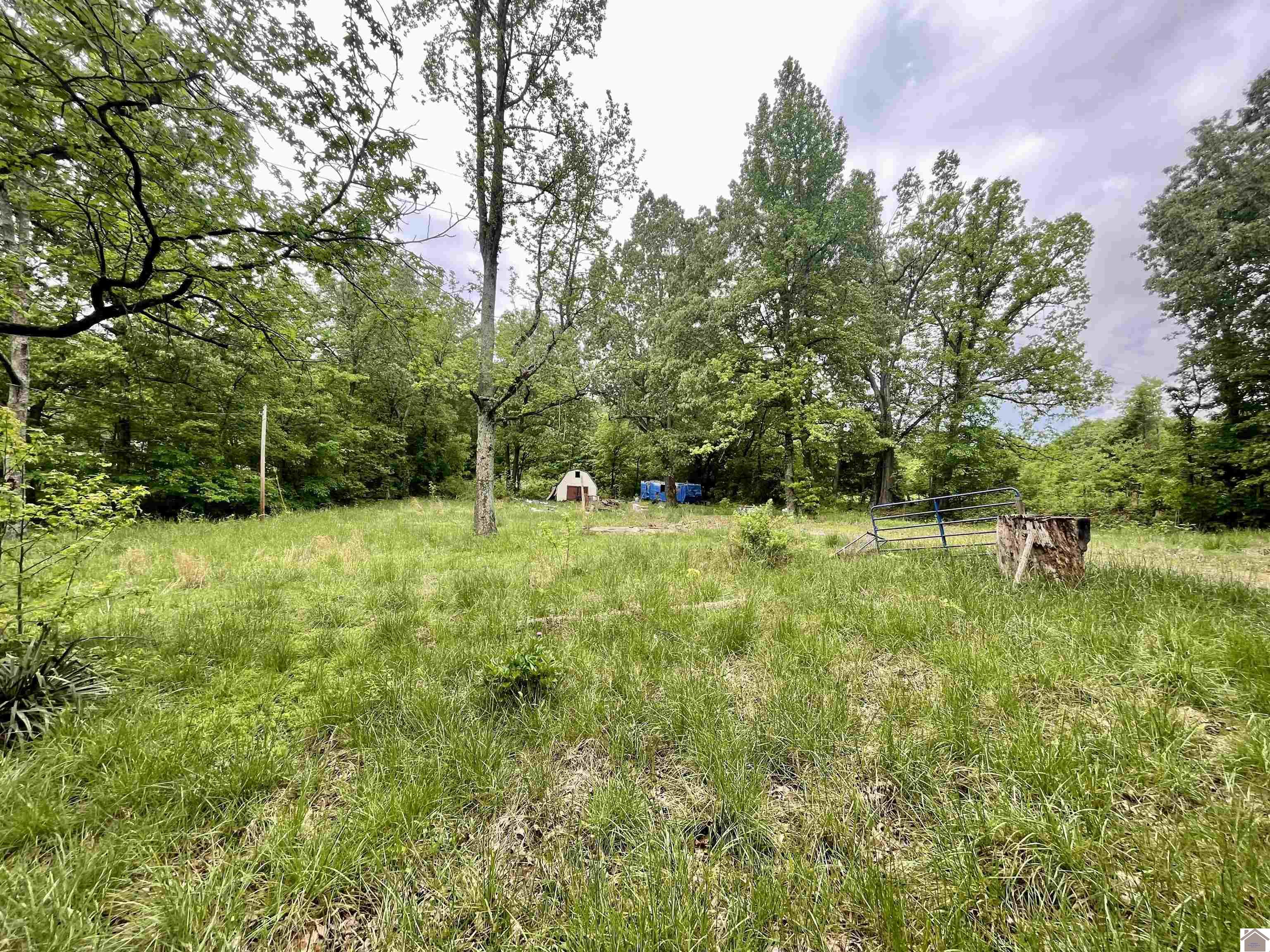 743 Belcher Road Tiline KY 42083 | Sold