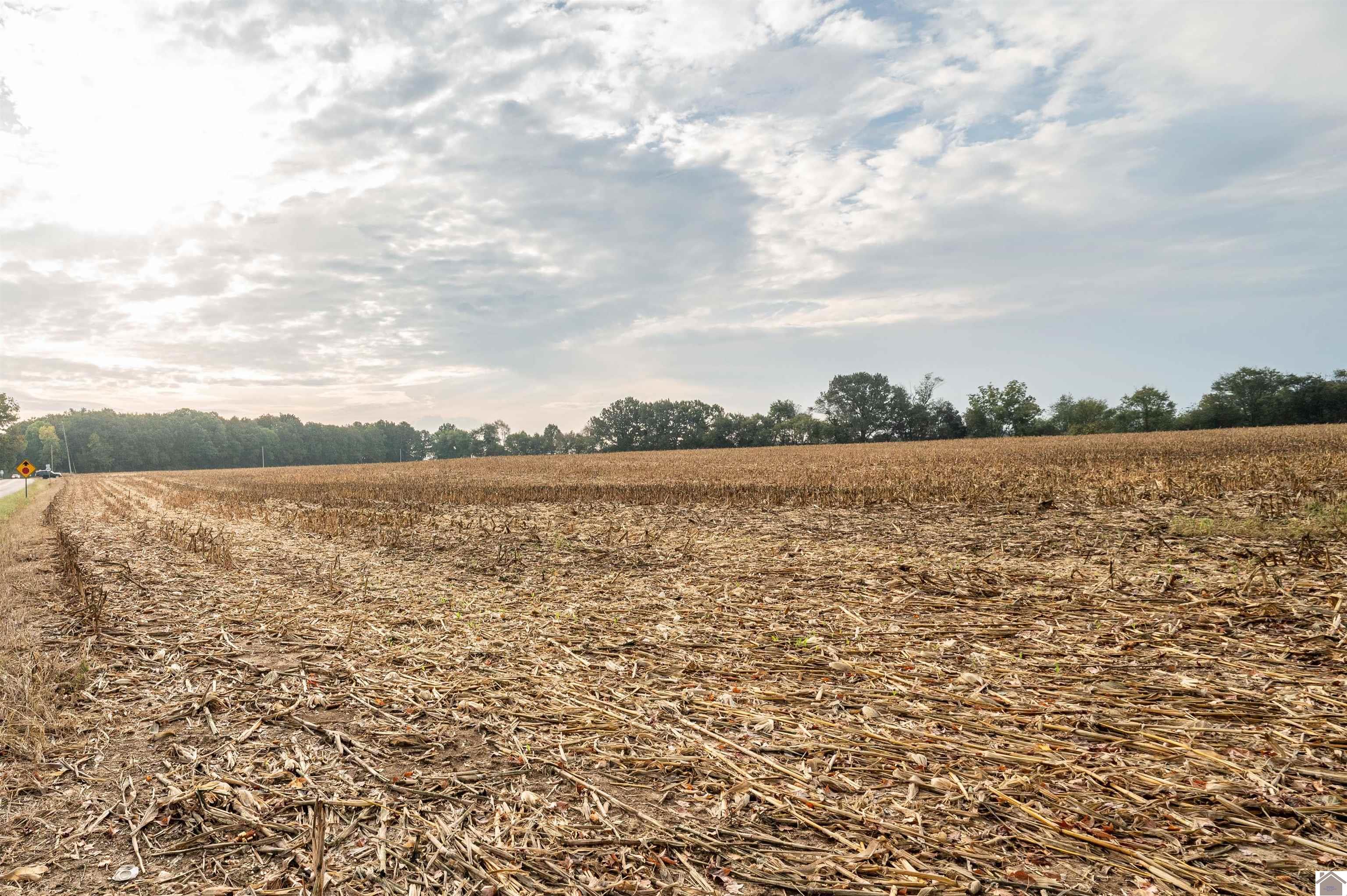 0 State Line Rd E Hazel KY 42049 | Contract Received