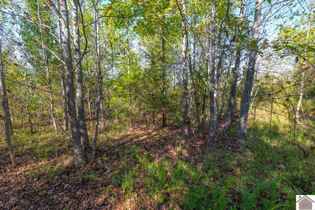 000 State Route 723 Salem KY 42078 | Active