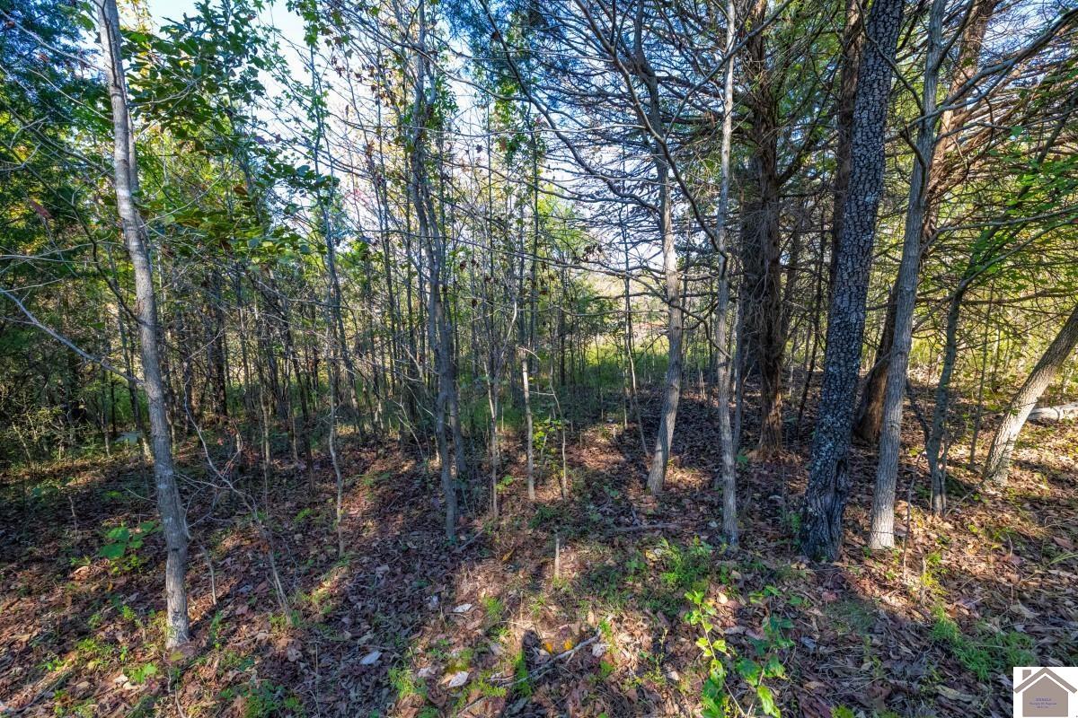 000 State Route 723 Salem KY 42078 | Active